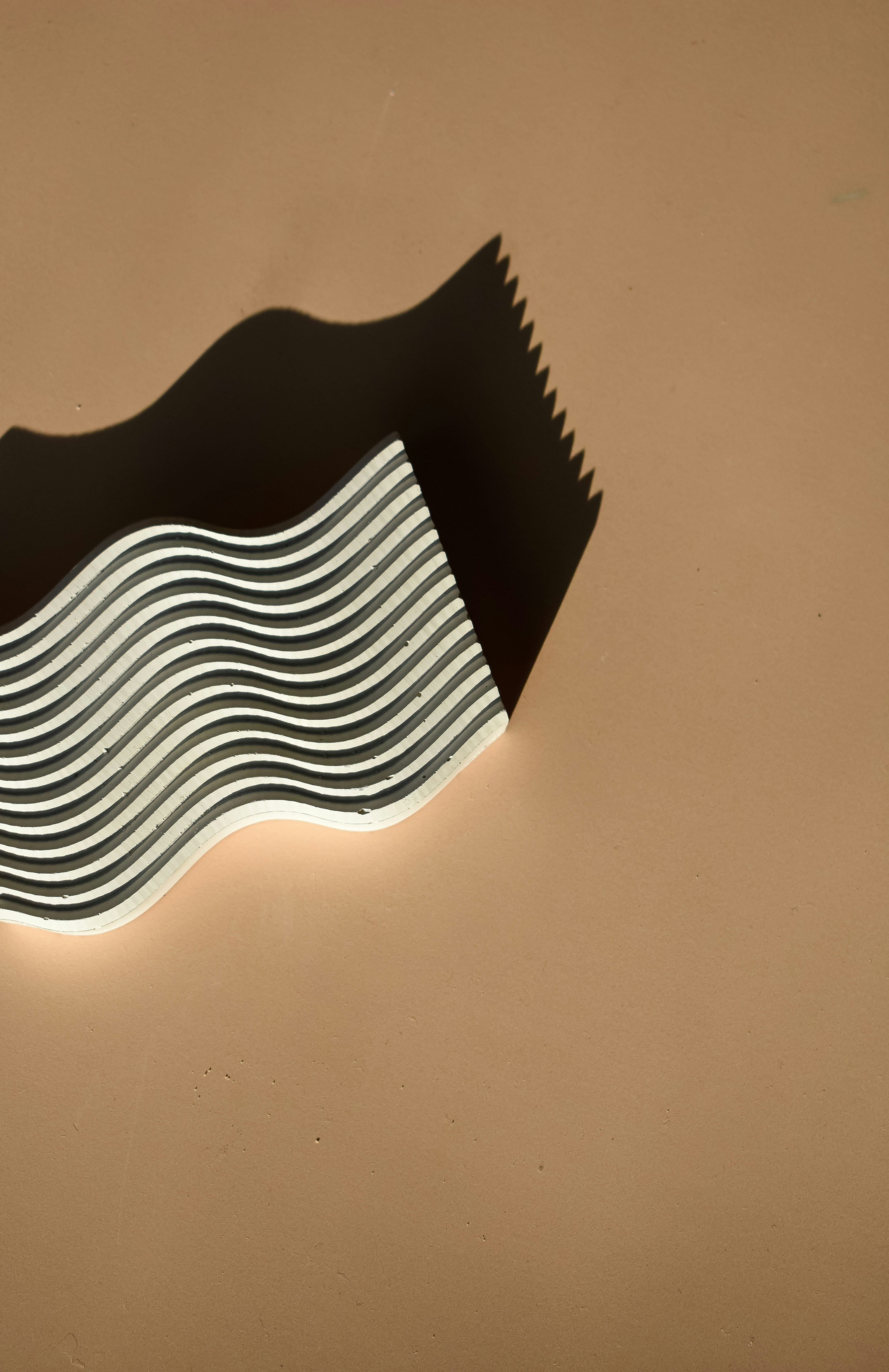 Photo by Harper Sunday with Nikon D3400