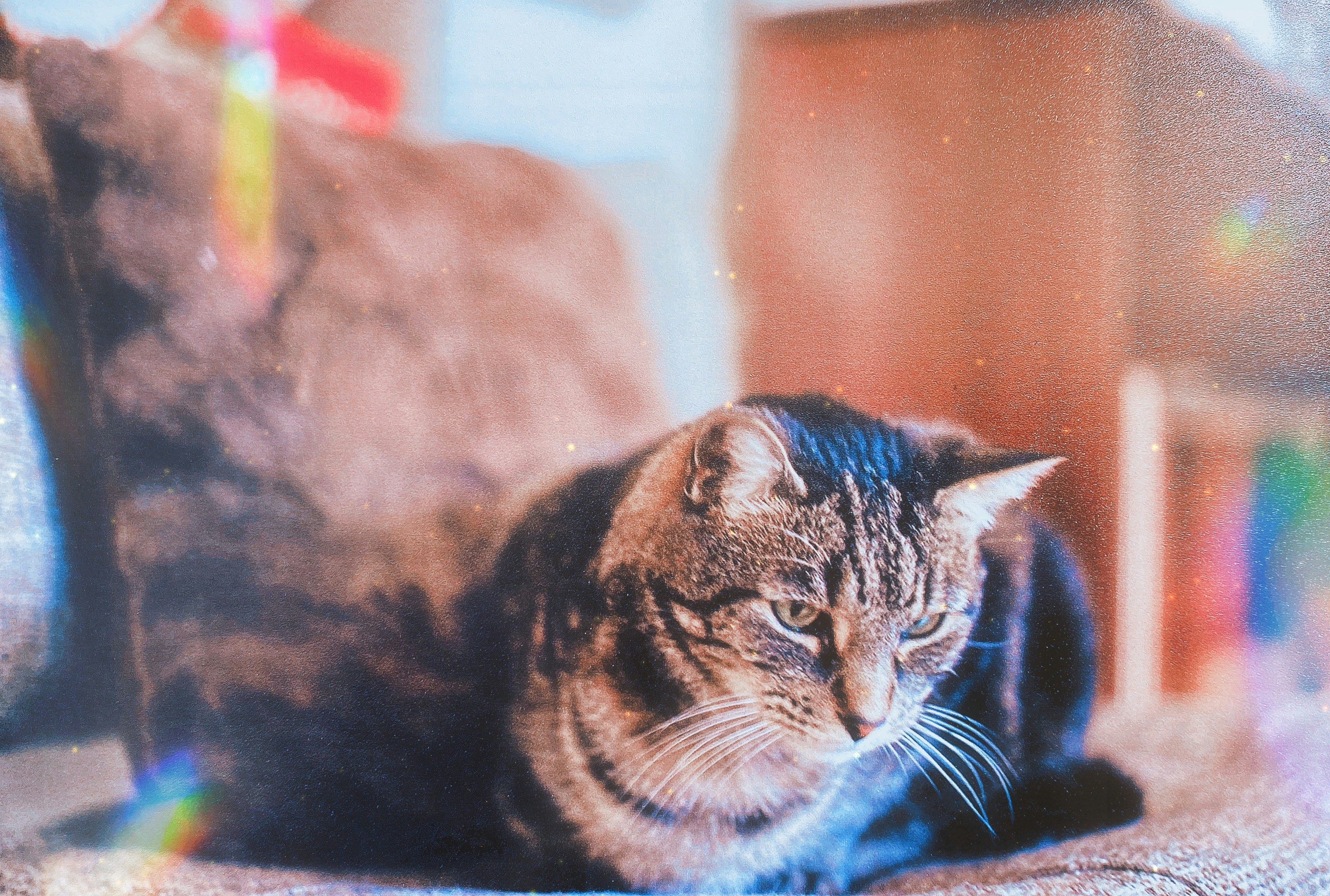 Rachel Maxey (@racheldmaxey) | Unsplash Photo Community