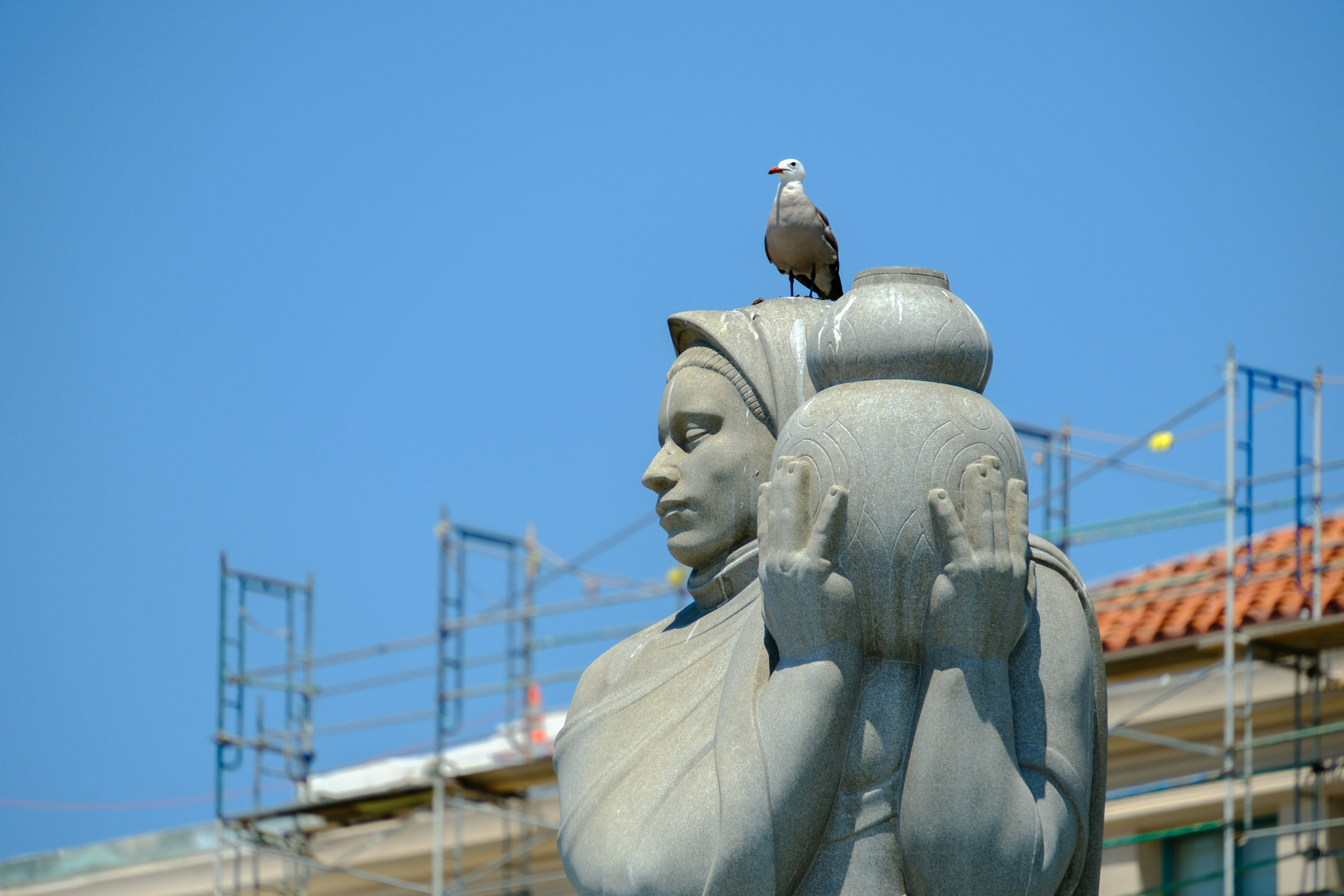 Seagull Sentinel Above a Stone Statue Beneath a Cerulean Sky