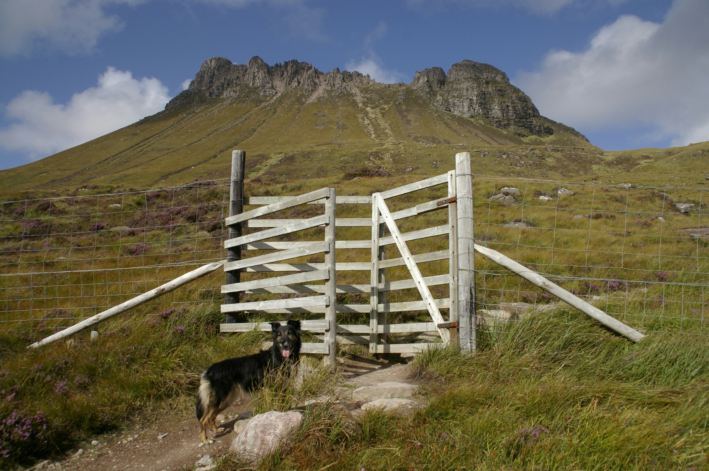 Pasture Gate at the Foot of a Rugged Hill