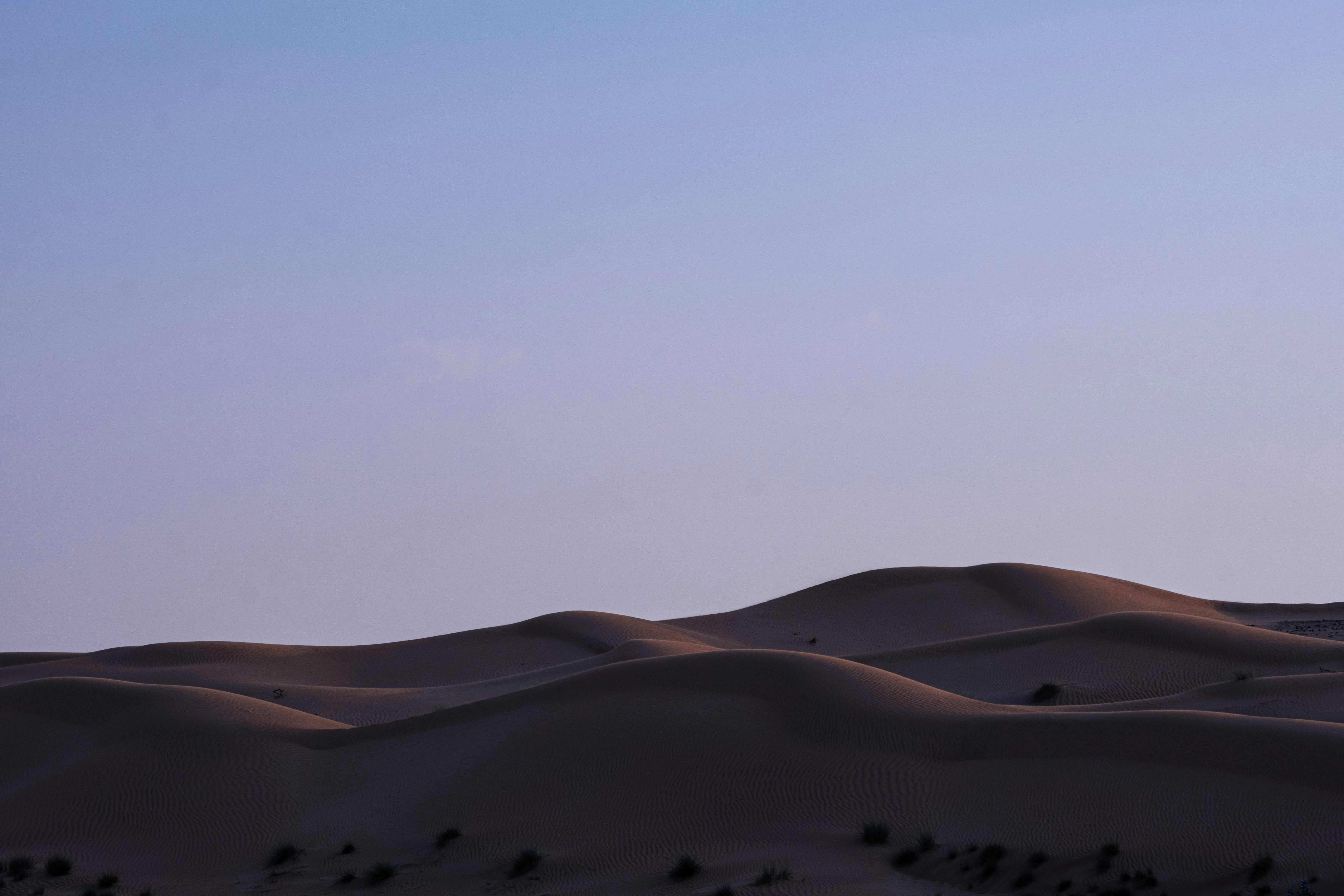 A lone bird flying over a large sand dune photo – Free Nature Image on ...