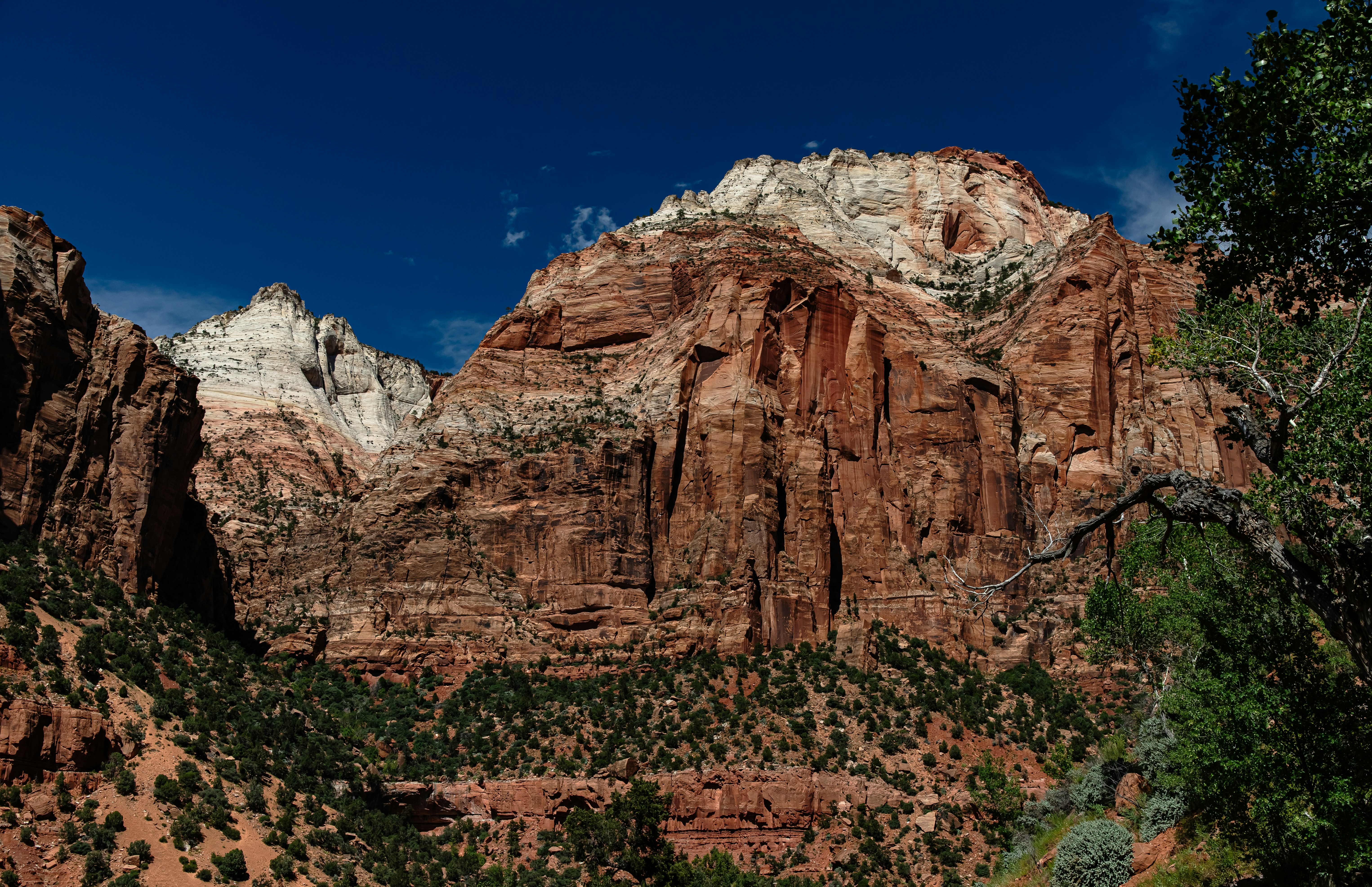 Vast red rock formations rise dramatically against a blue sky in Zion National Park, showcasing the intricate layers of the earth's history.