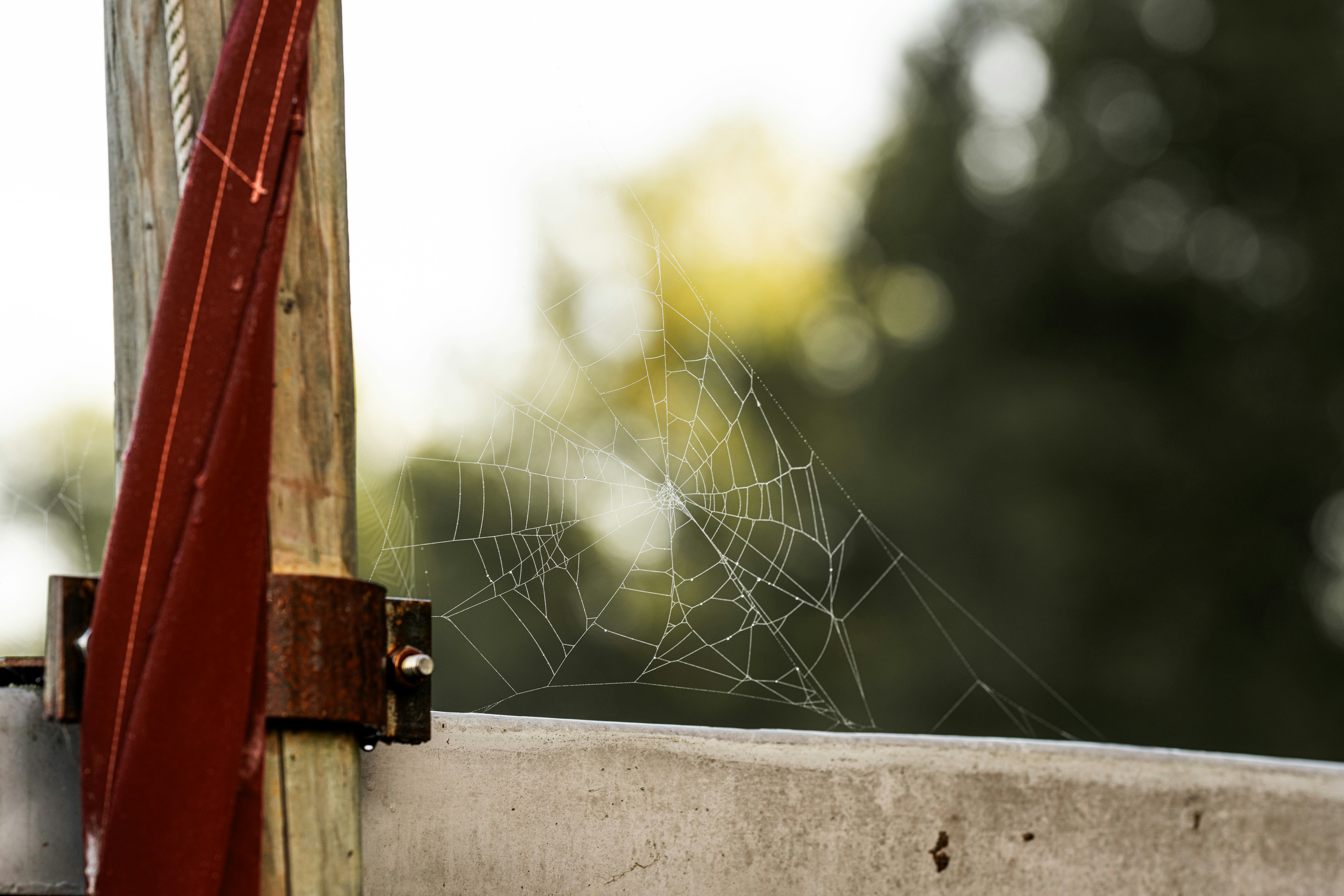 Gossamer Crossing: Spider Web Between Weathered Wood and Metal in Quiet Morning Light
