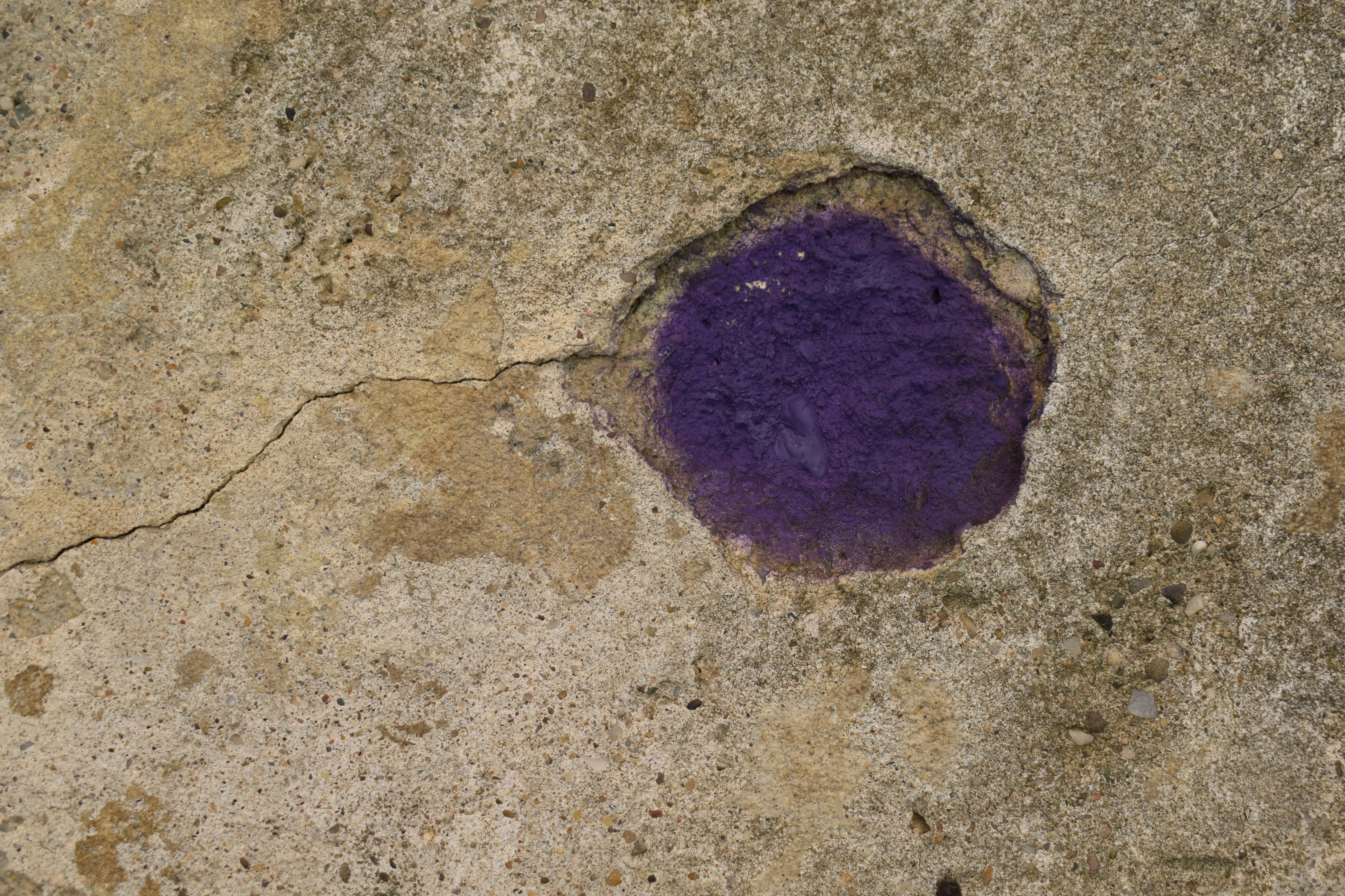 Violet Ring on Weathered Concrete: Texture and Color in Close-Up