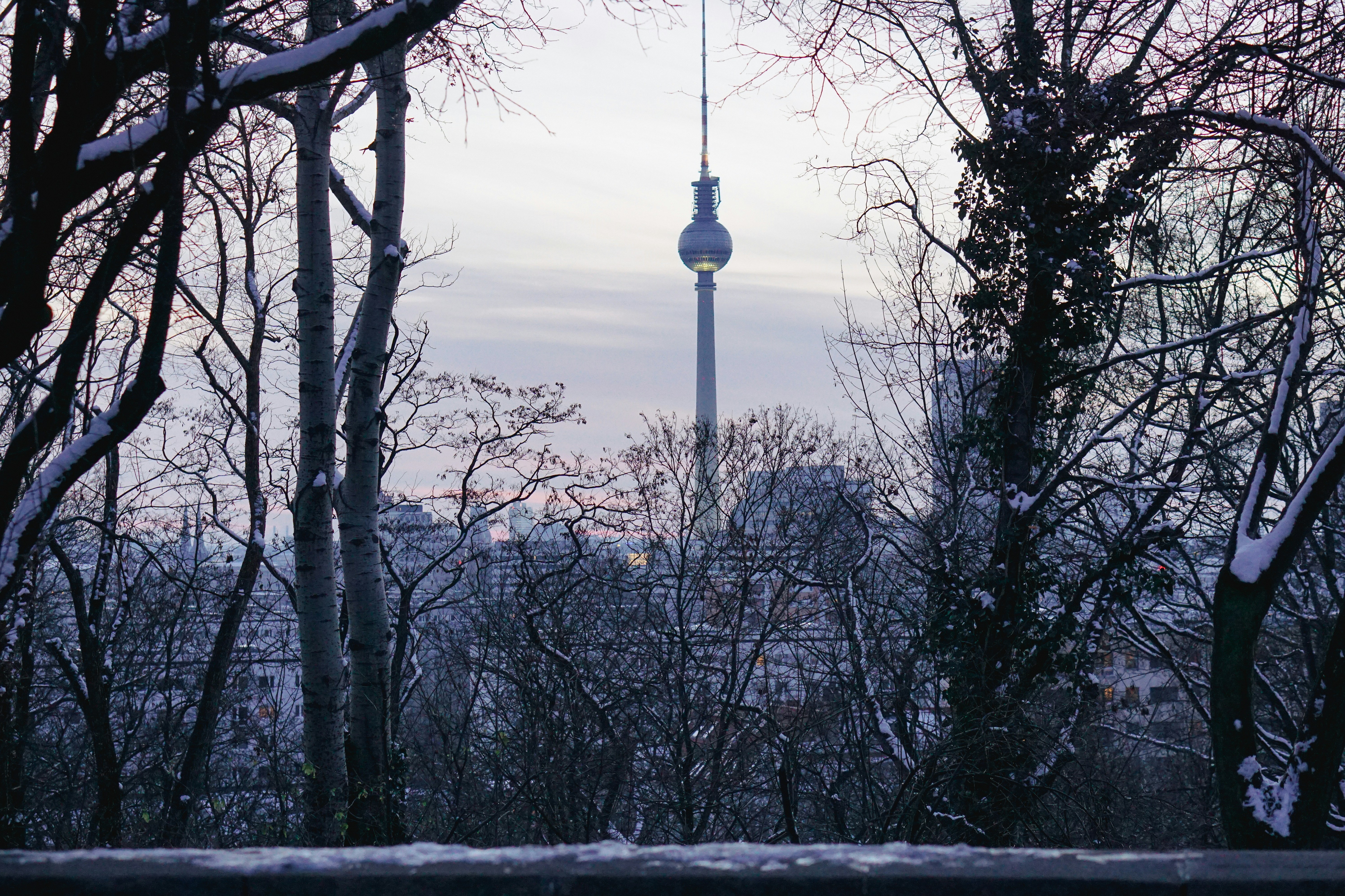 Tower Above the Winter Forest