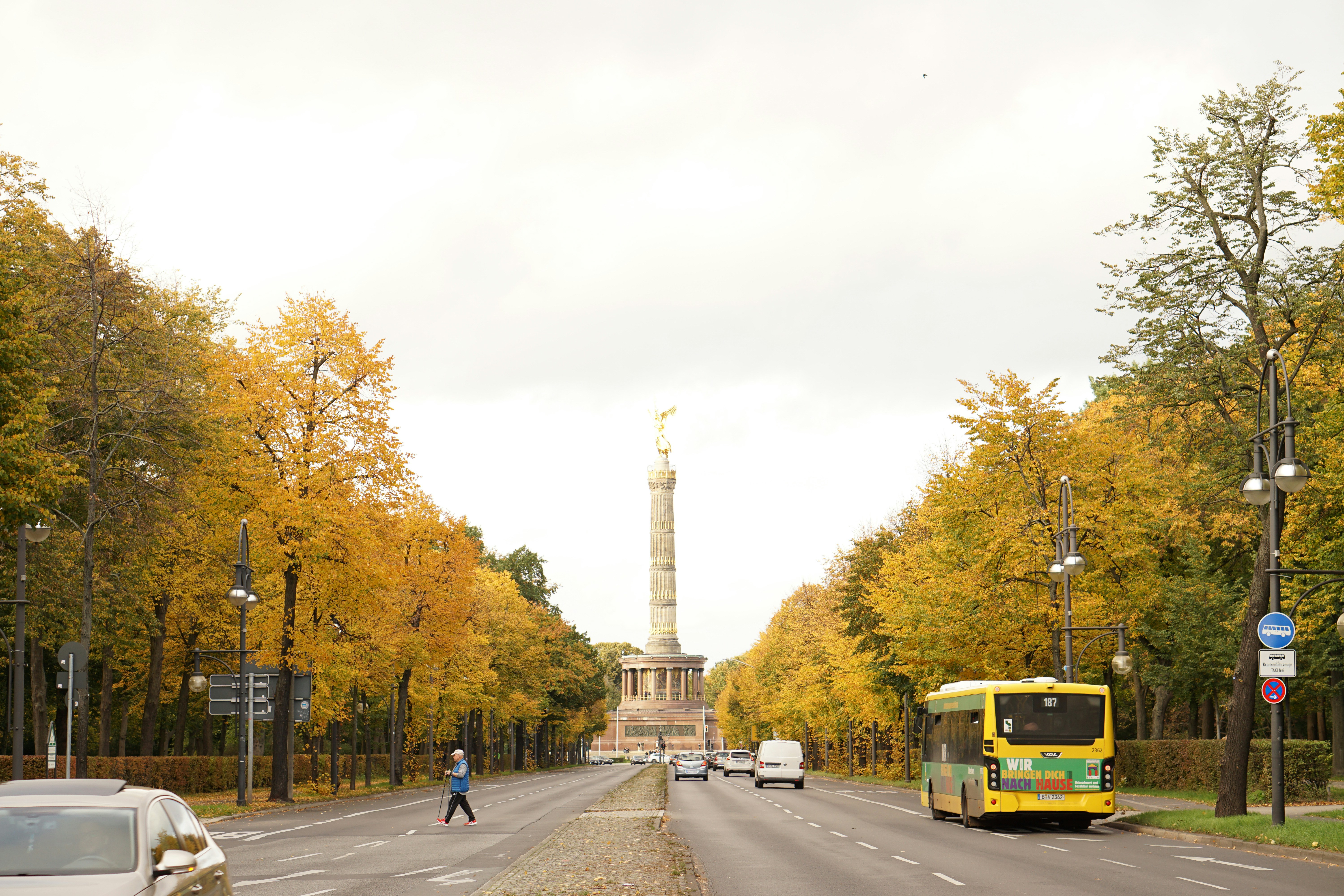 Avenue to the Monument: Autumnal City Boulevard