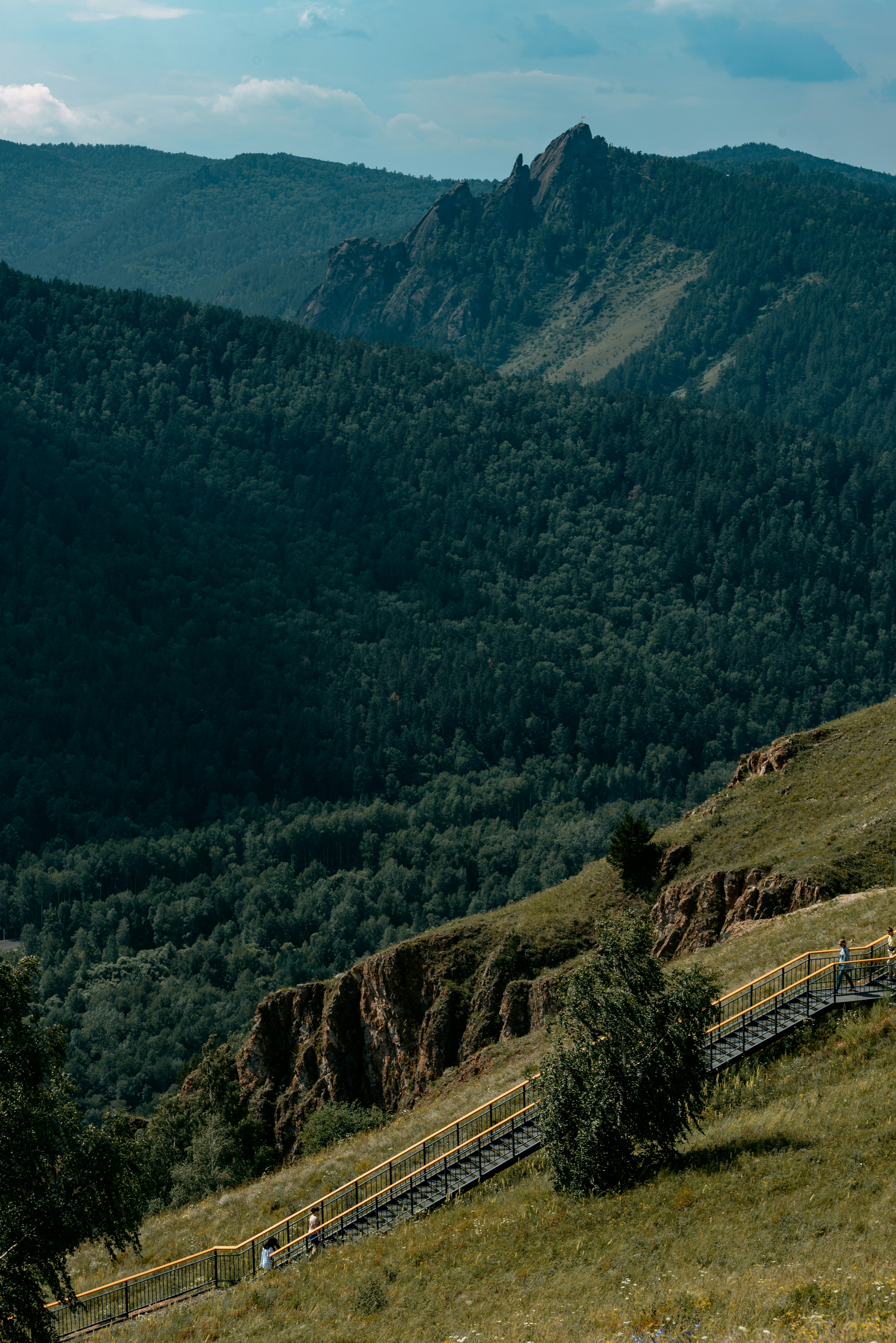 Ridge Staircase: A Gentle Descent Through Mountain Pines
