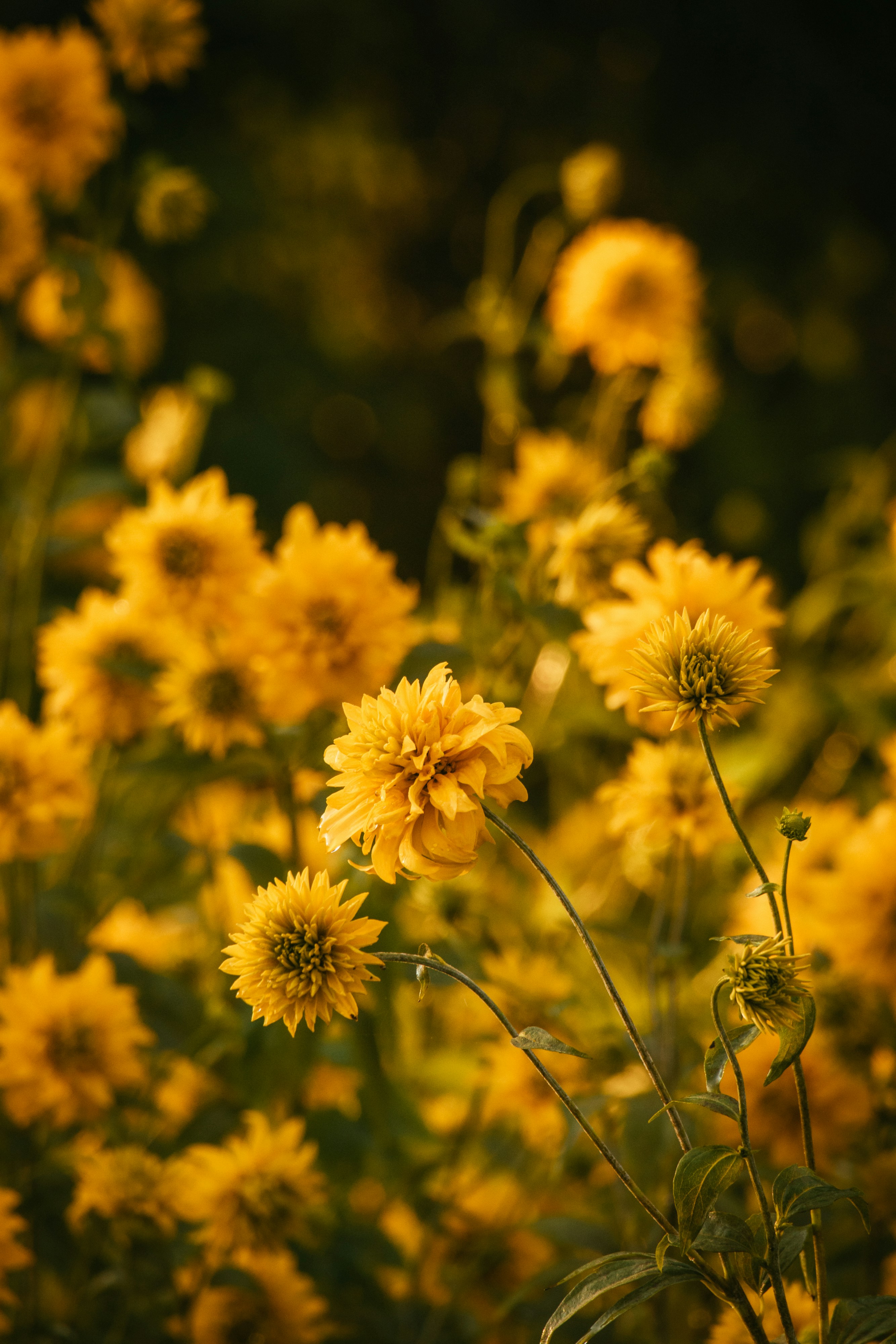 Photo by kub liz with Canon EOS M50 Mark II