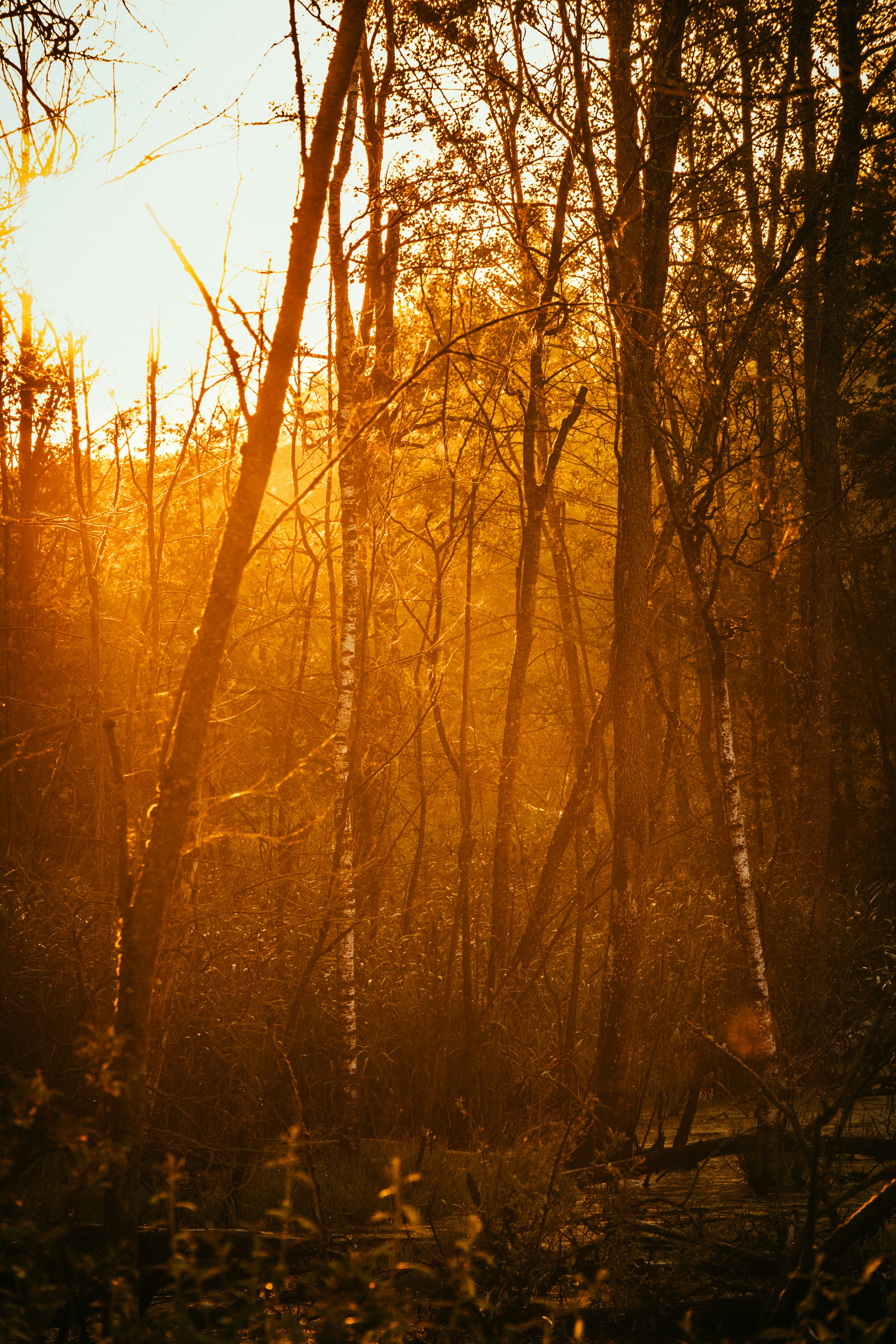 Photo by kub liz with Canon EOS M50 Mark II