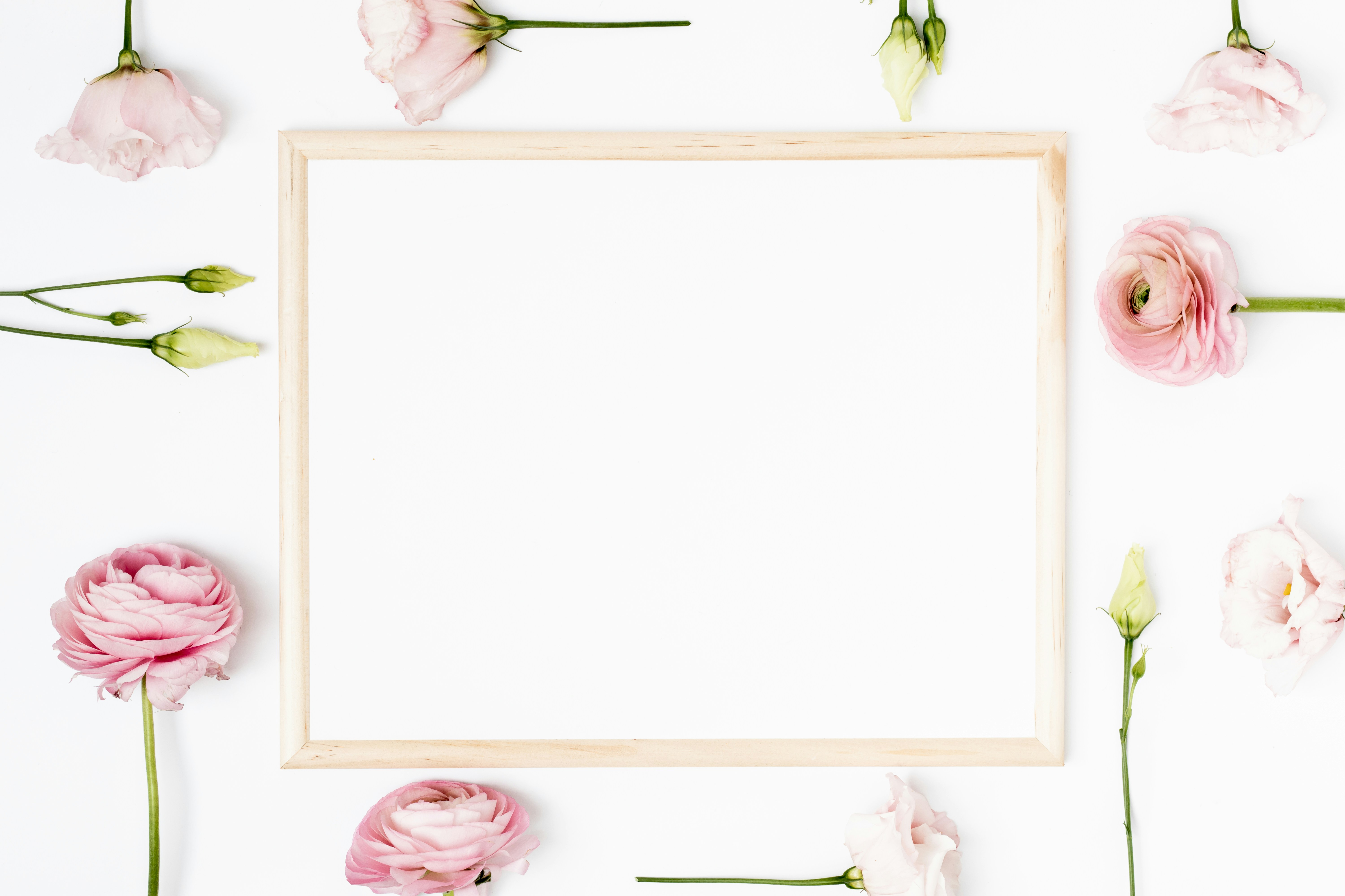 A picture frame surrounded by pink flowers on a white background photo ...