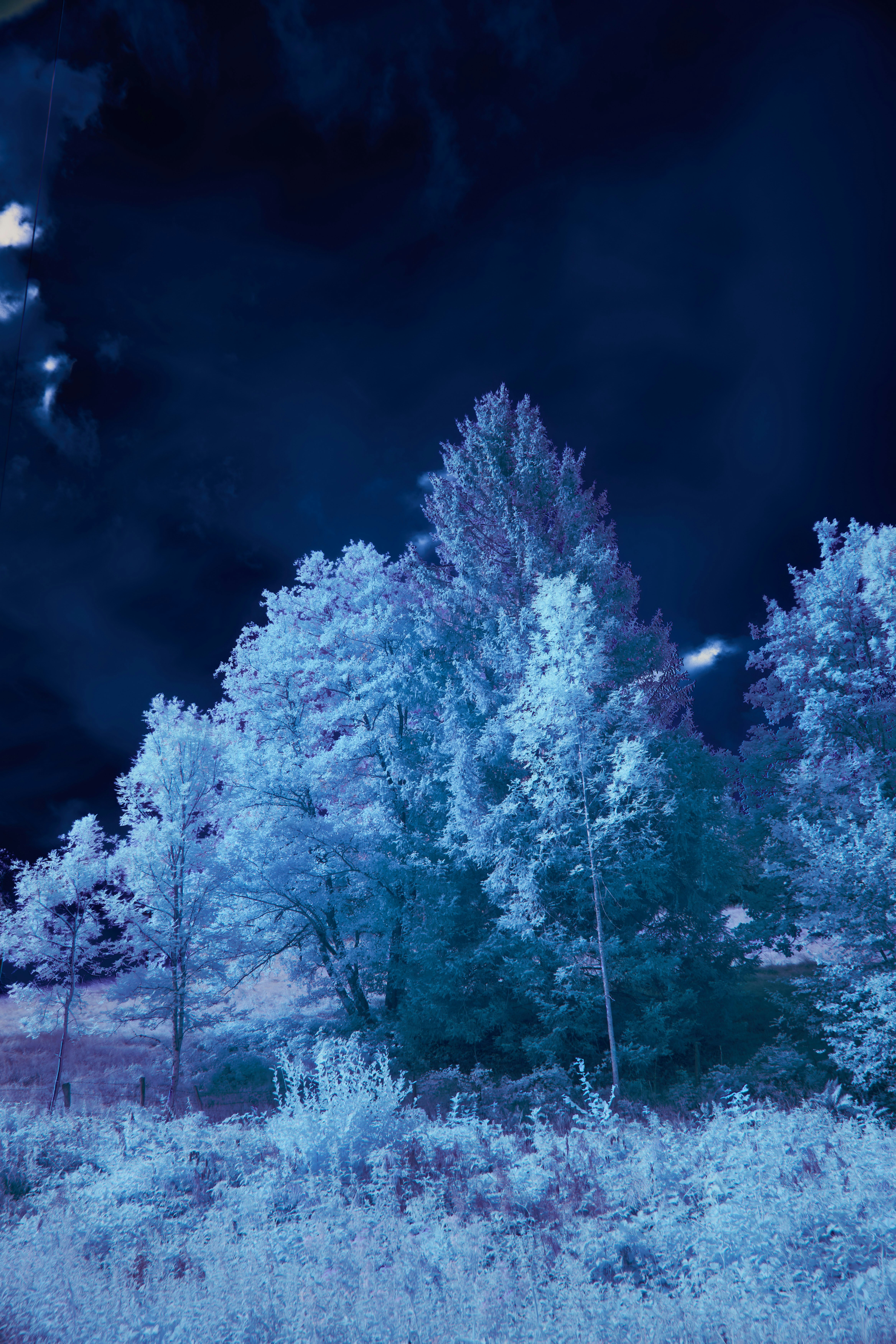 Une scène nocturne avec une pleine lune dans le ciel photo – Photo ...