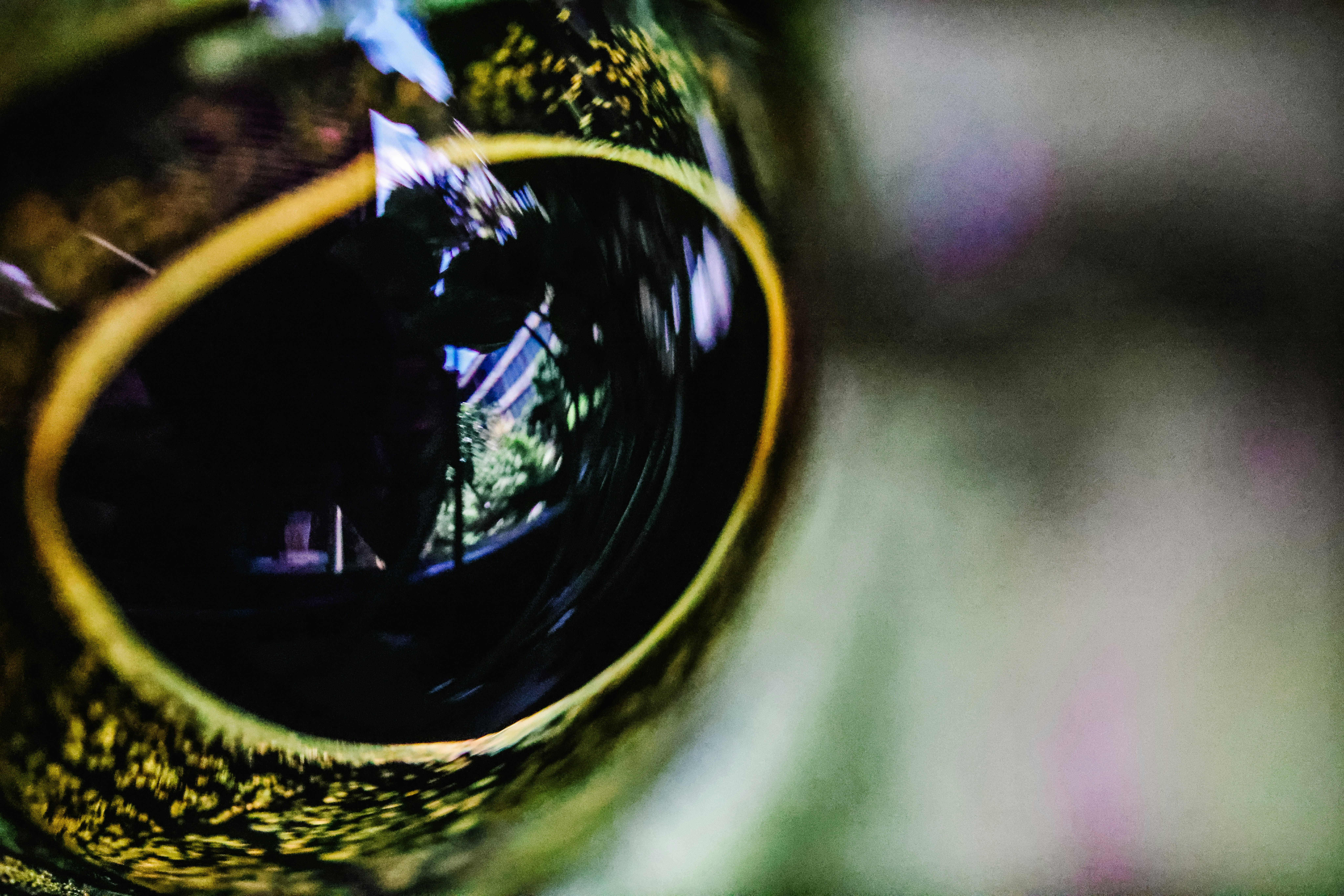 Through the Lens: Circular Fragments of a Garden Reflection