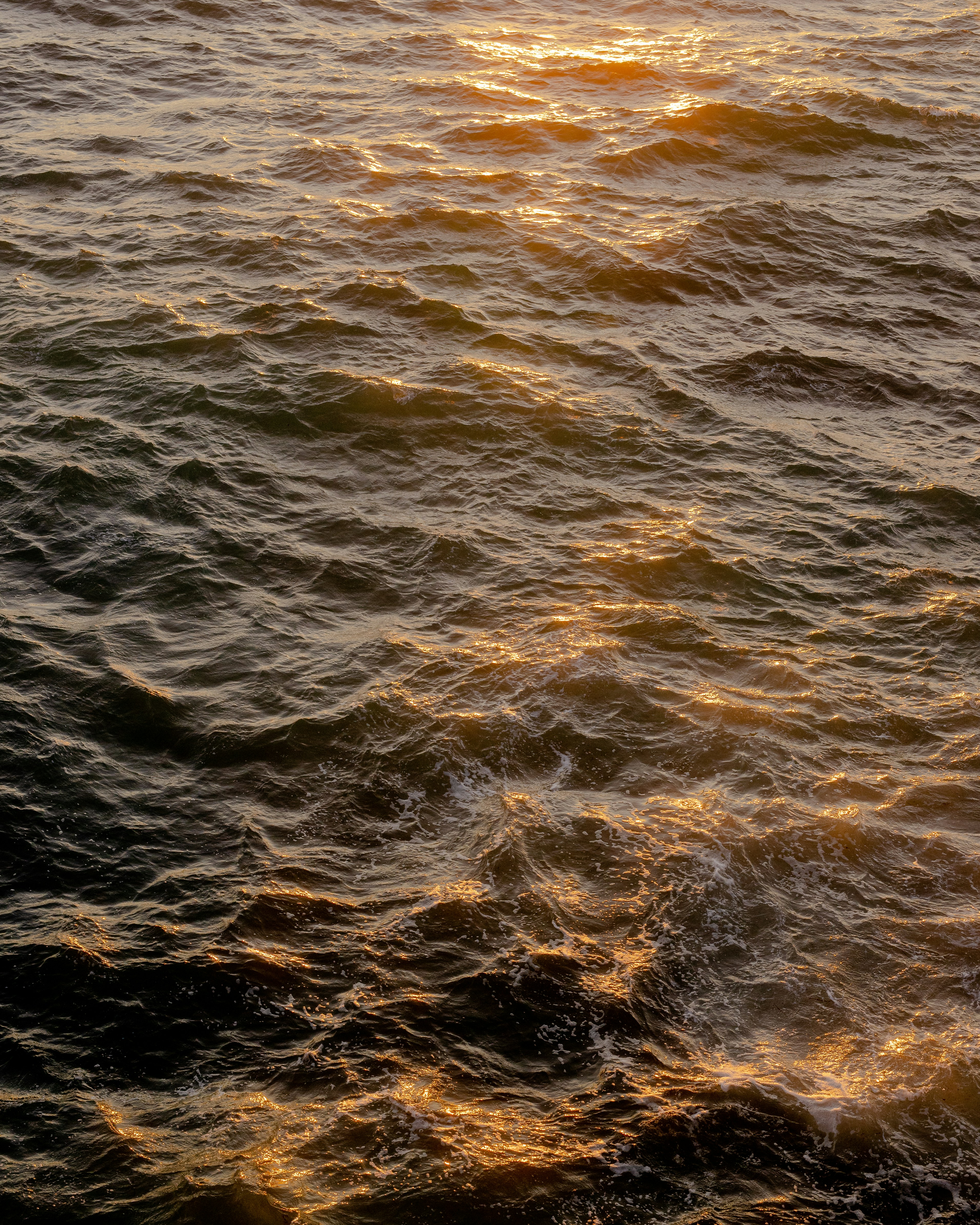 Emberlit Waves at Sunset