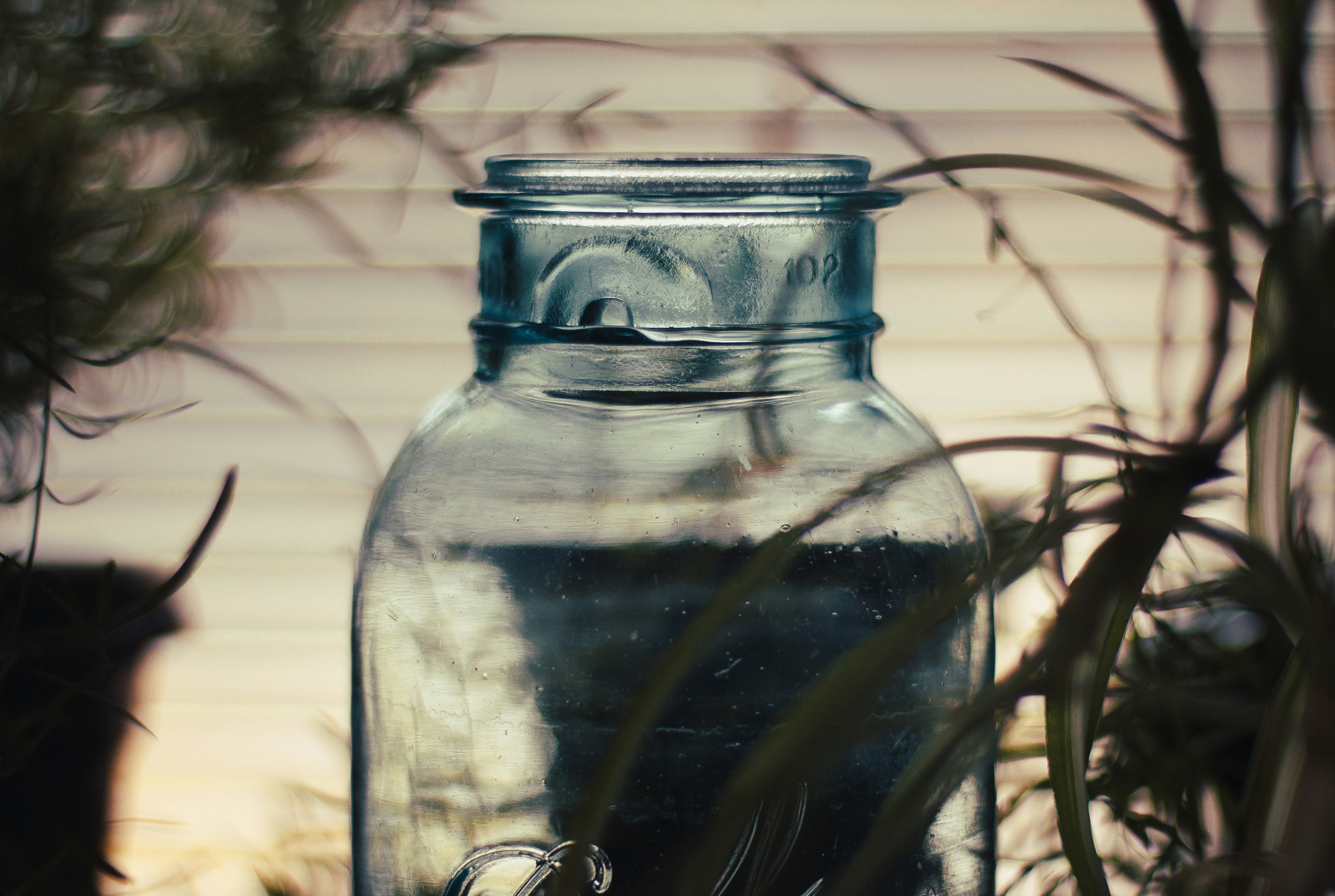 Sunlit Glass Vessel Between Shadowed Foliage