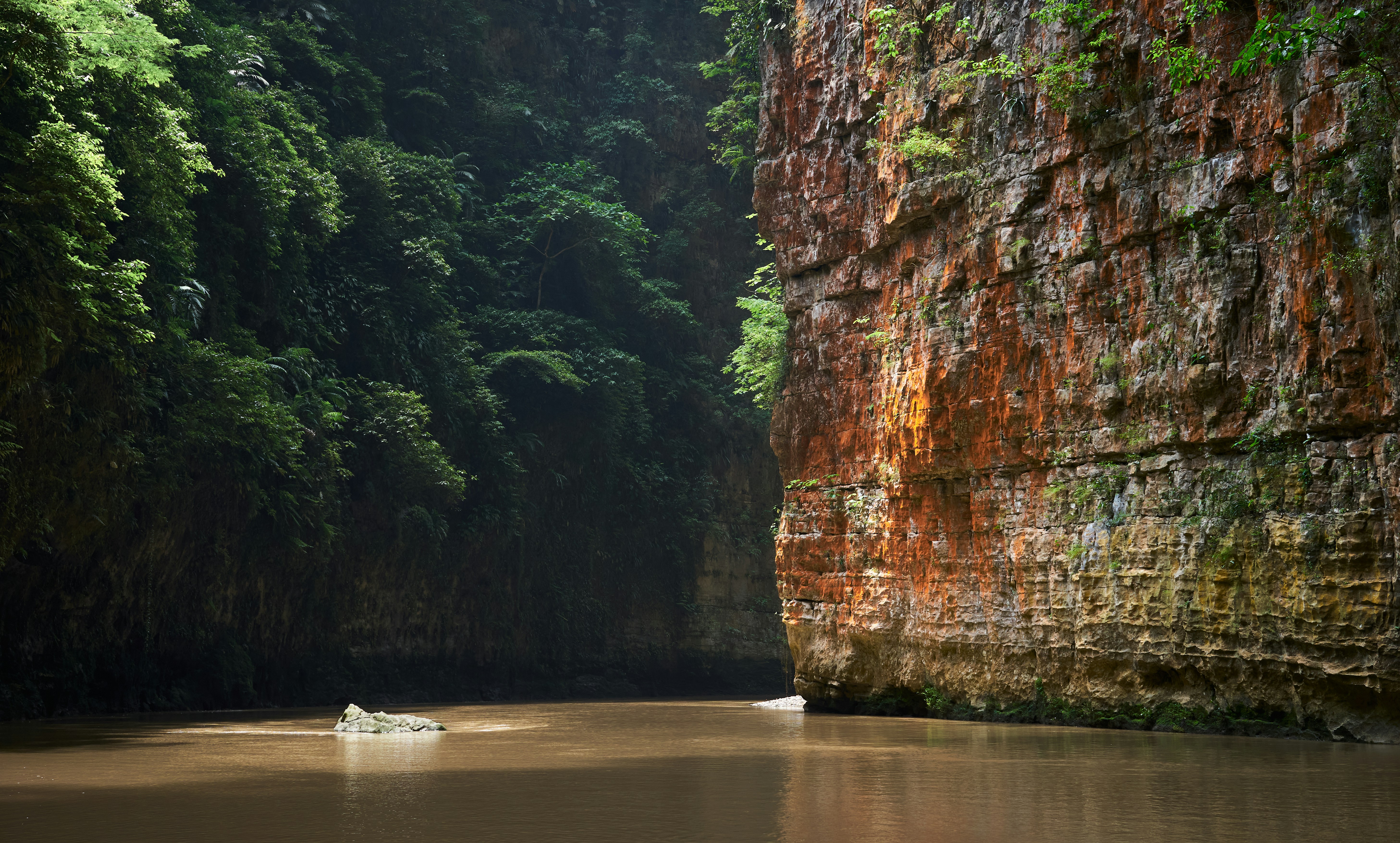 Photo by Fabio Montello with Sony Alpha 7 II