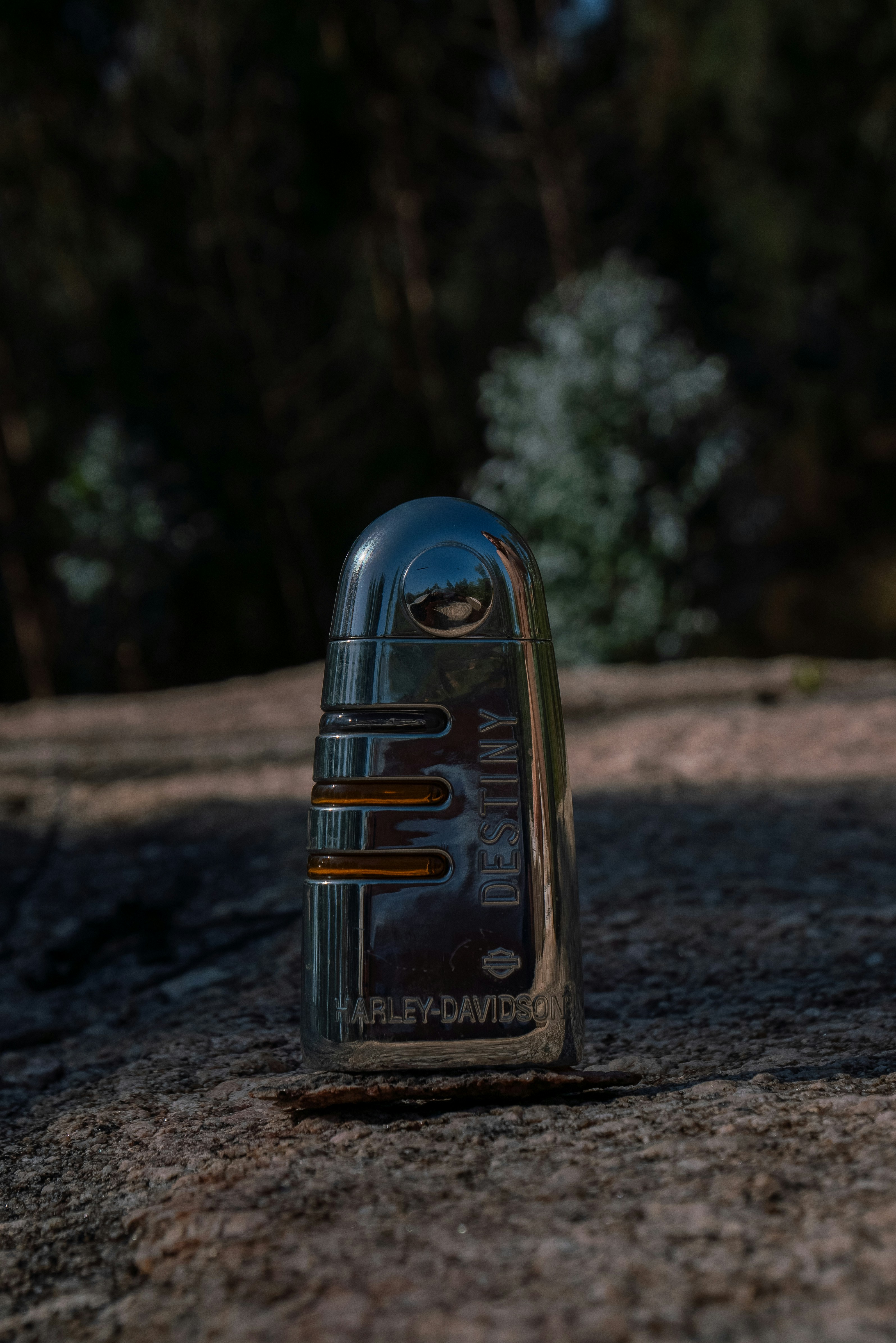 Chrome Destiny on Stone: A Harley-Davidson Lighter Beneath Quiet Forest Light
