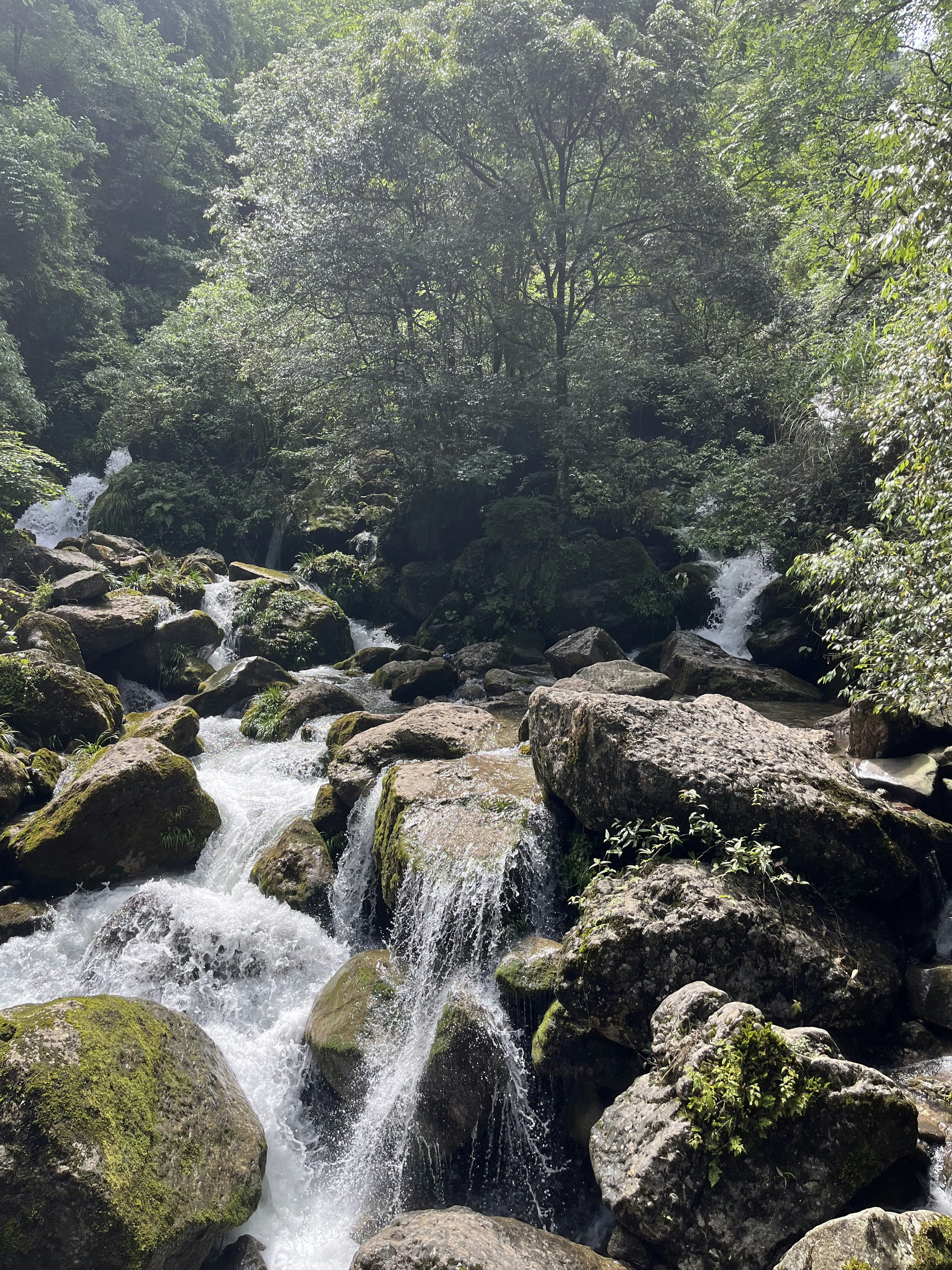 ge duner (@lionelgee) | Comunidade de fotos da Unsplash