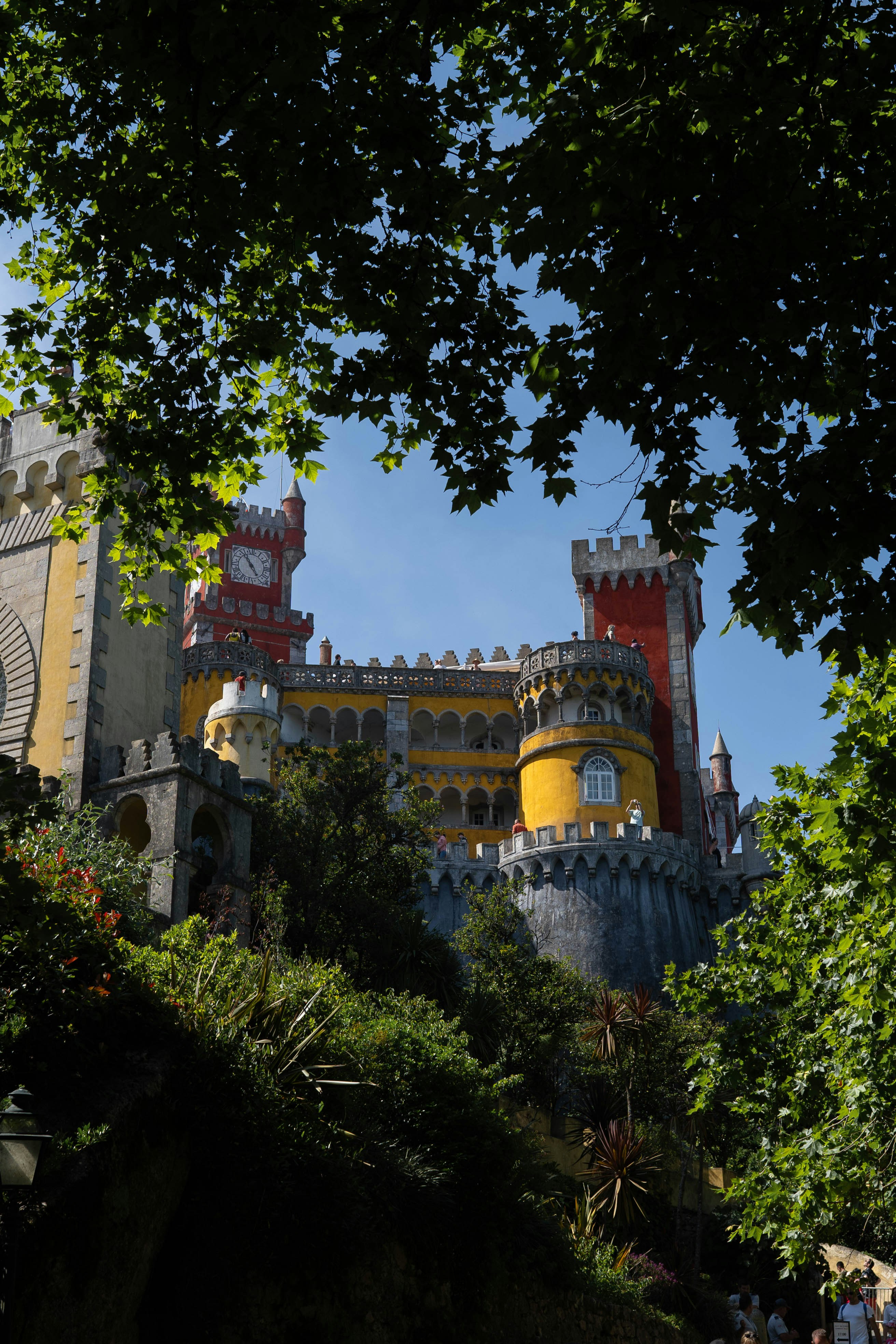 Pena Palace’s Colorful Turrets Framed by a Lush Green Canopy