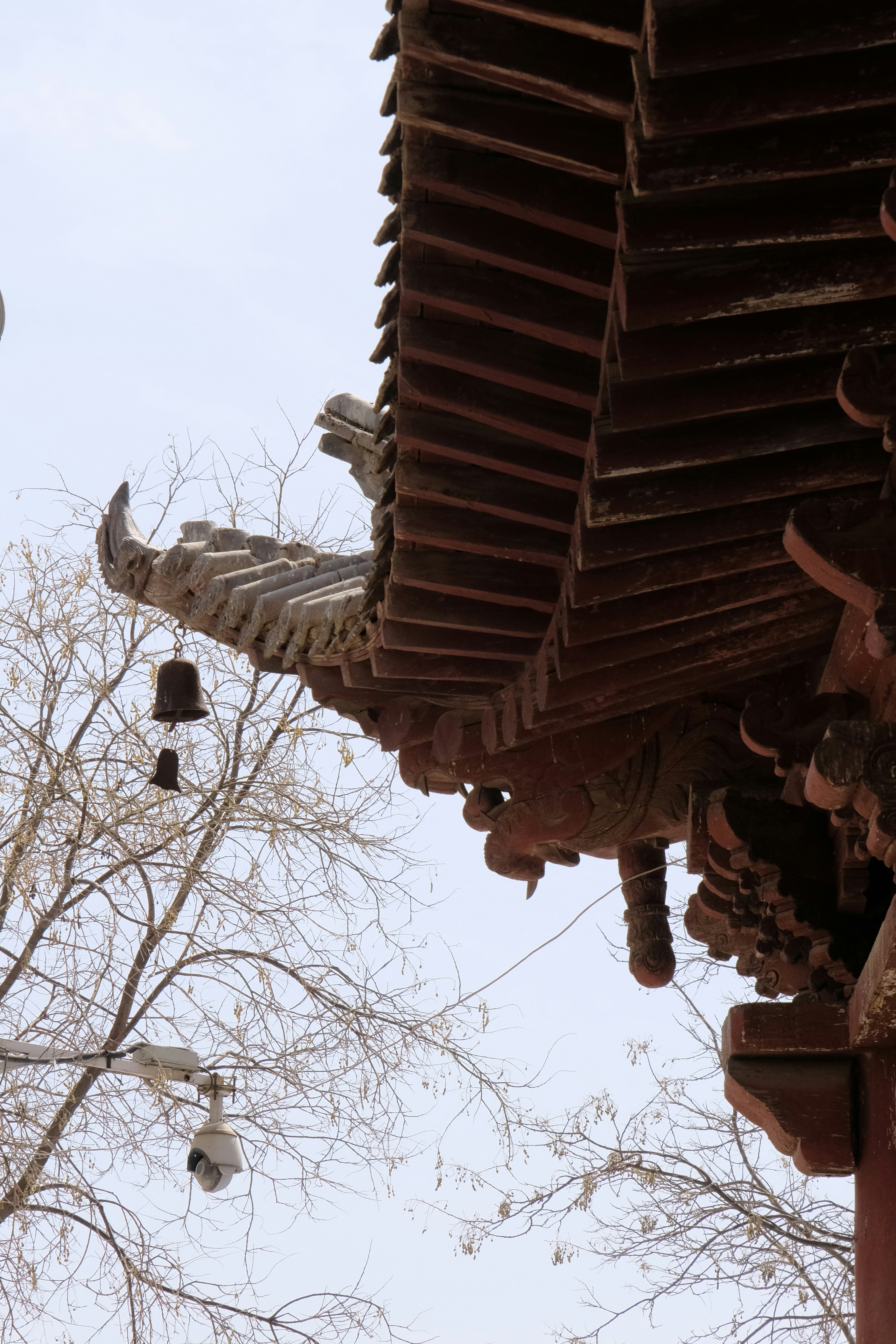 Lacquered Eaves in Winter Light: Bells and Carved Beams at the Temple Corner