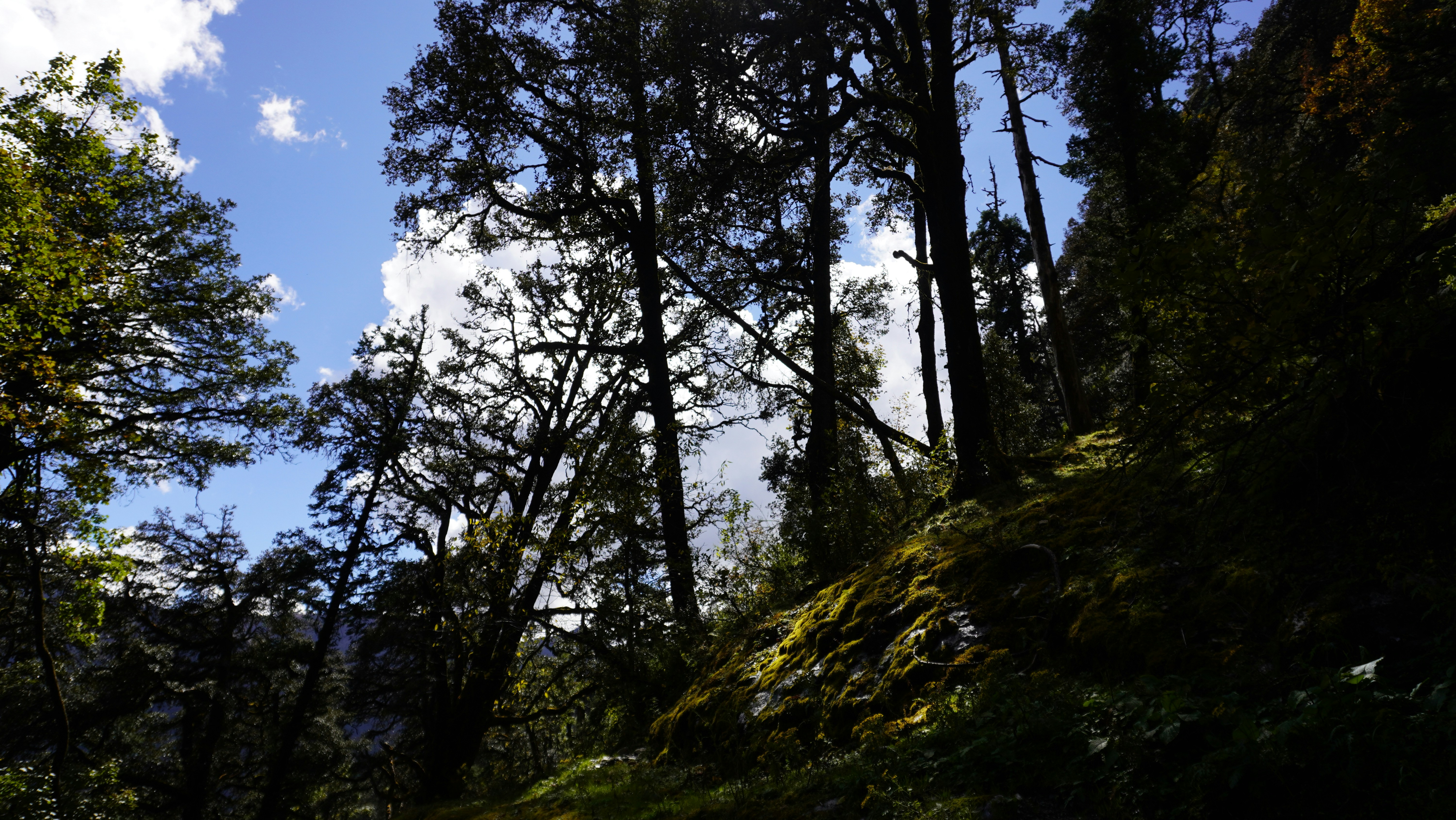 Photo by Pavitra Baxi with Sony Alpha 6400