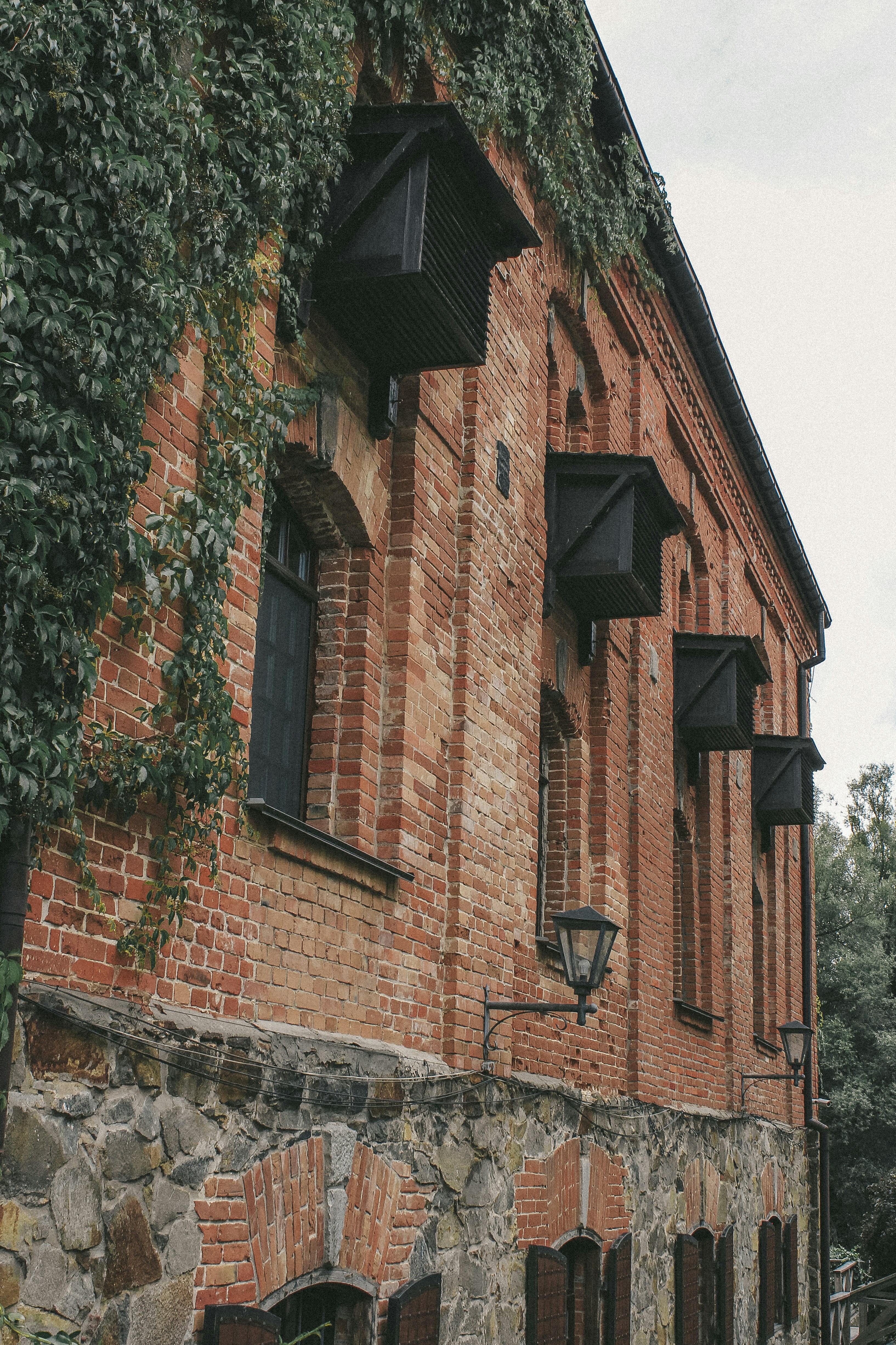 Beschädigung Memes - Schlechte Witze