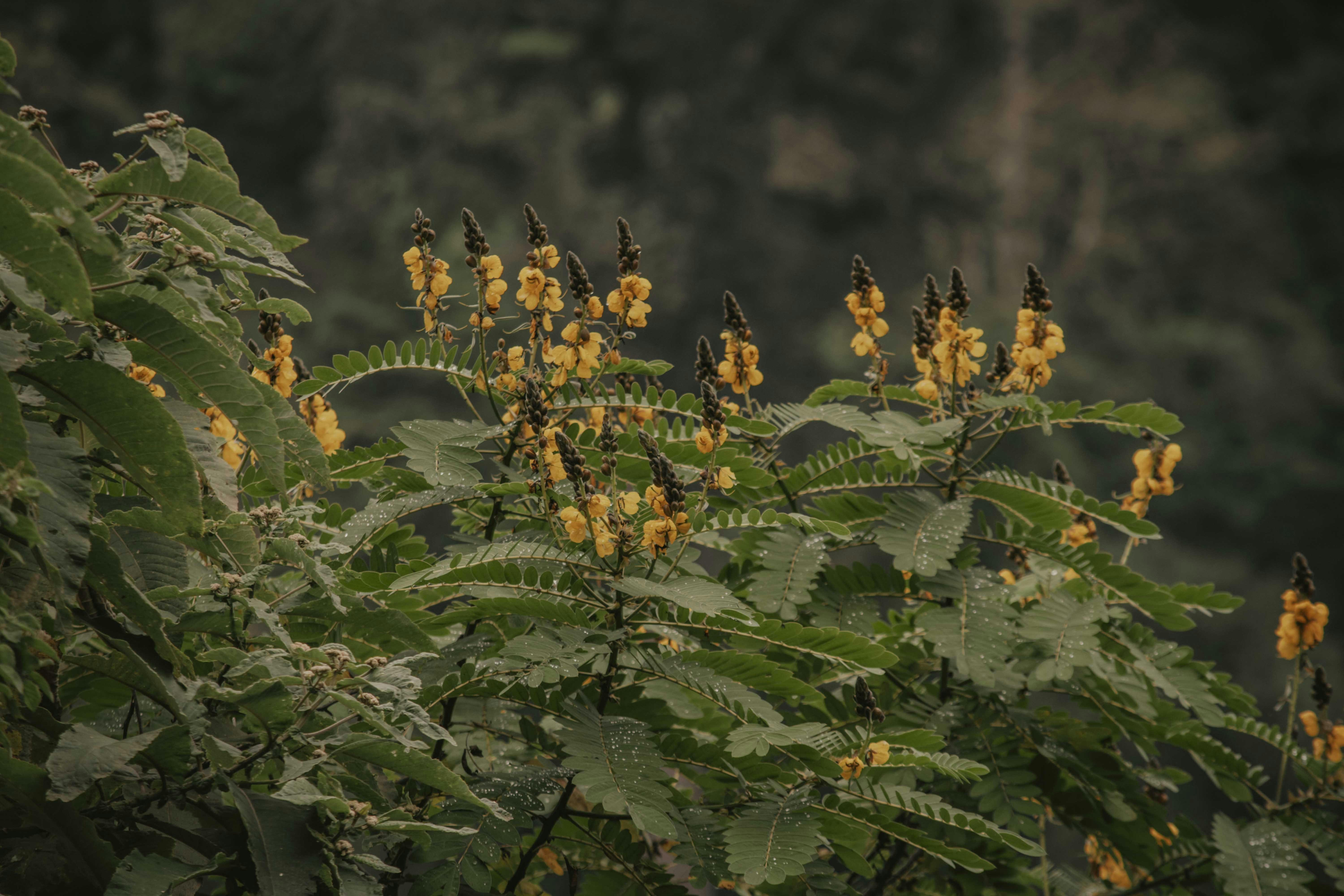 Photo by Utunzaji wa Mazingira with Nikon D3300