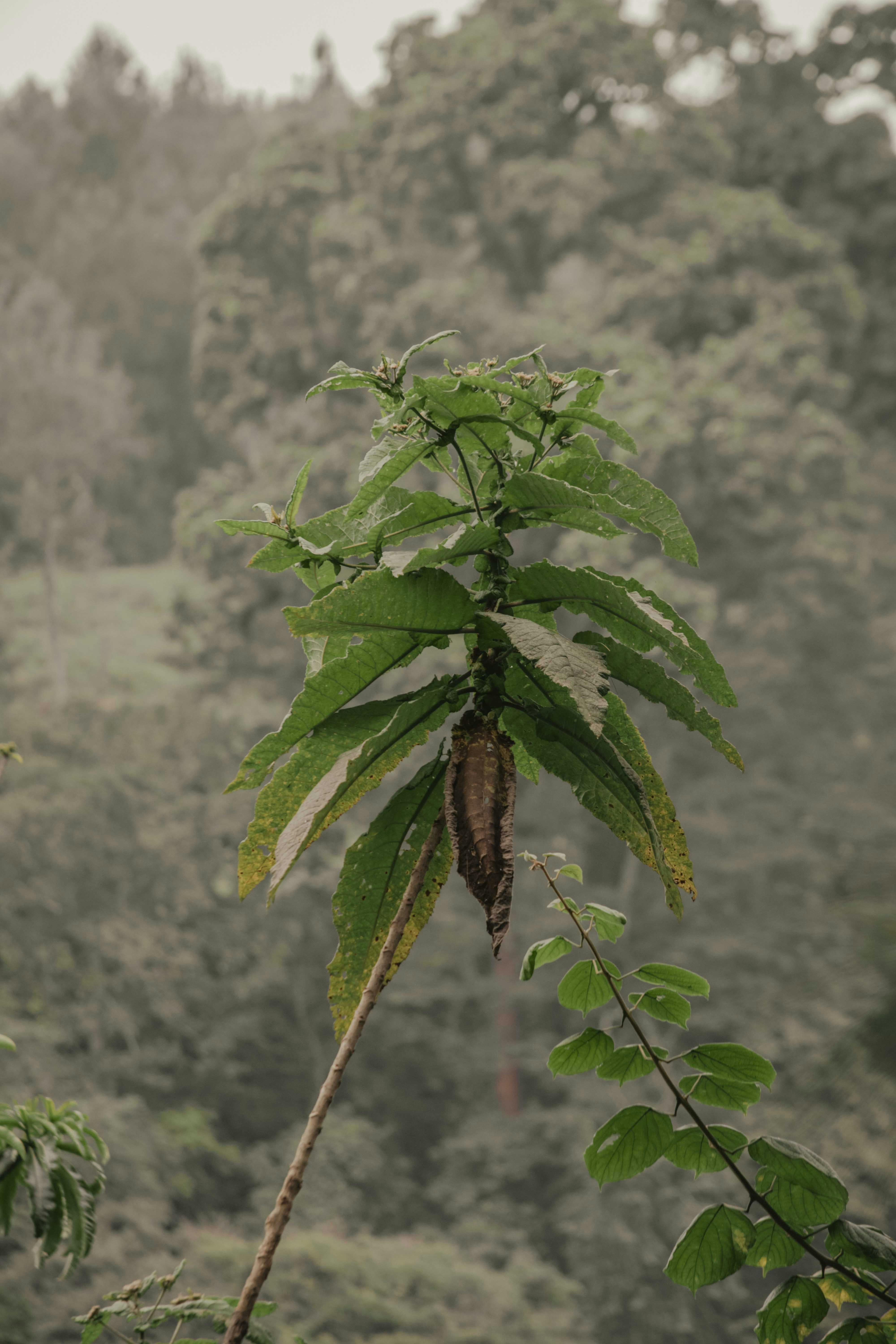 Photo by Utunzaji wa Mazingira with Nikon D3300