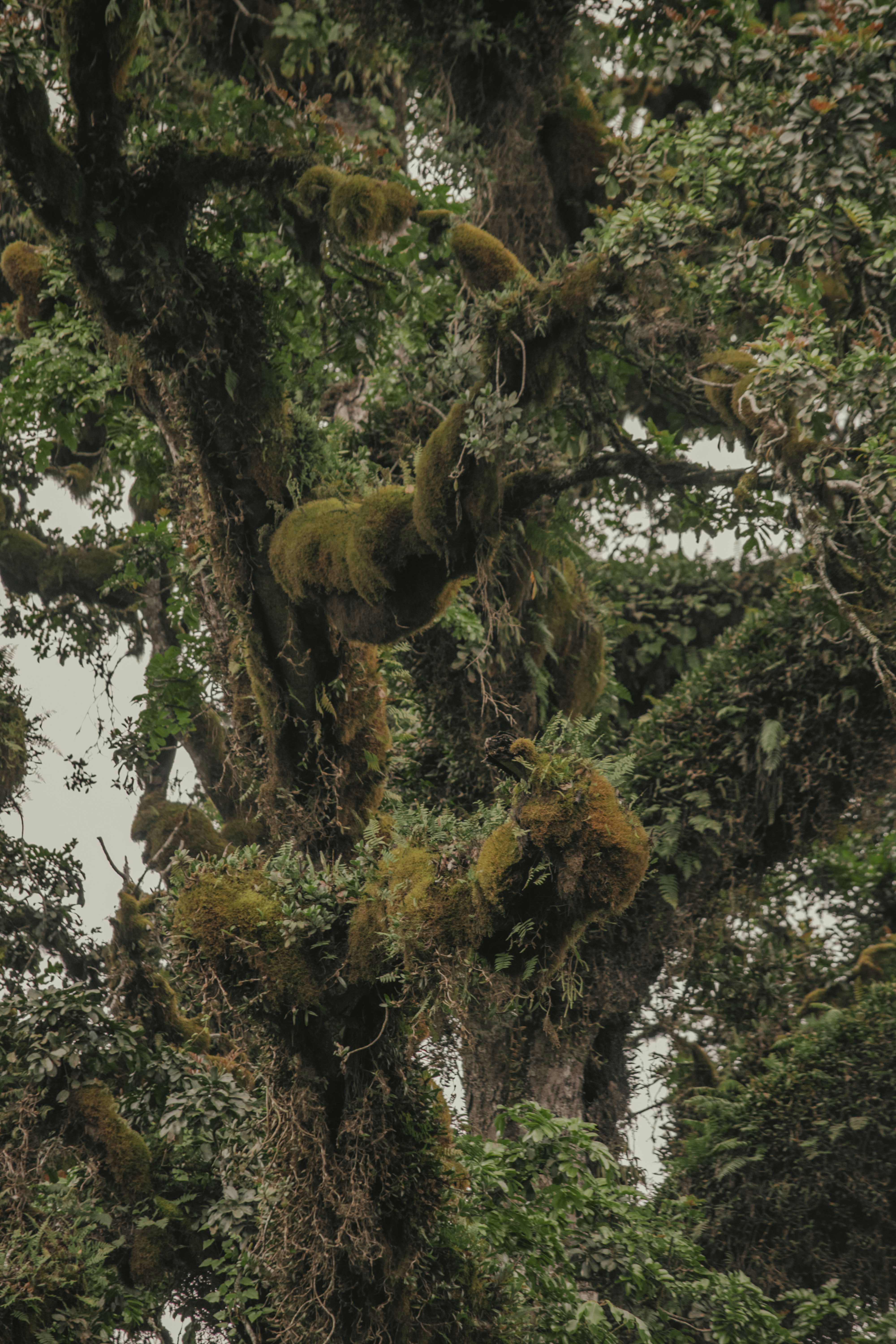 Photo by Utunzaji wa Mazingira with Nikon D3300