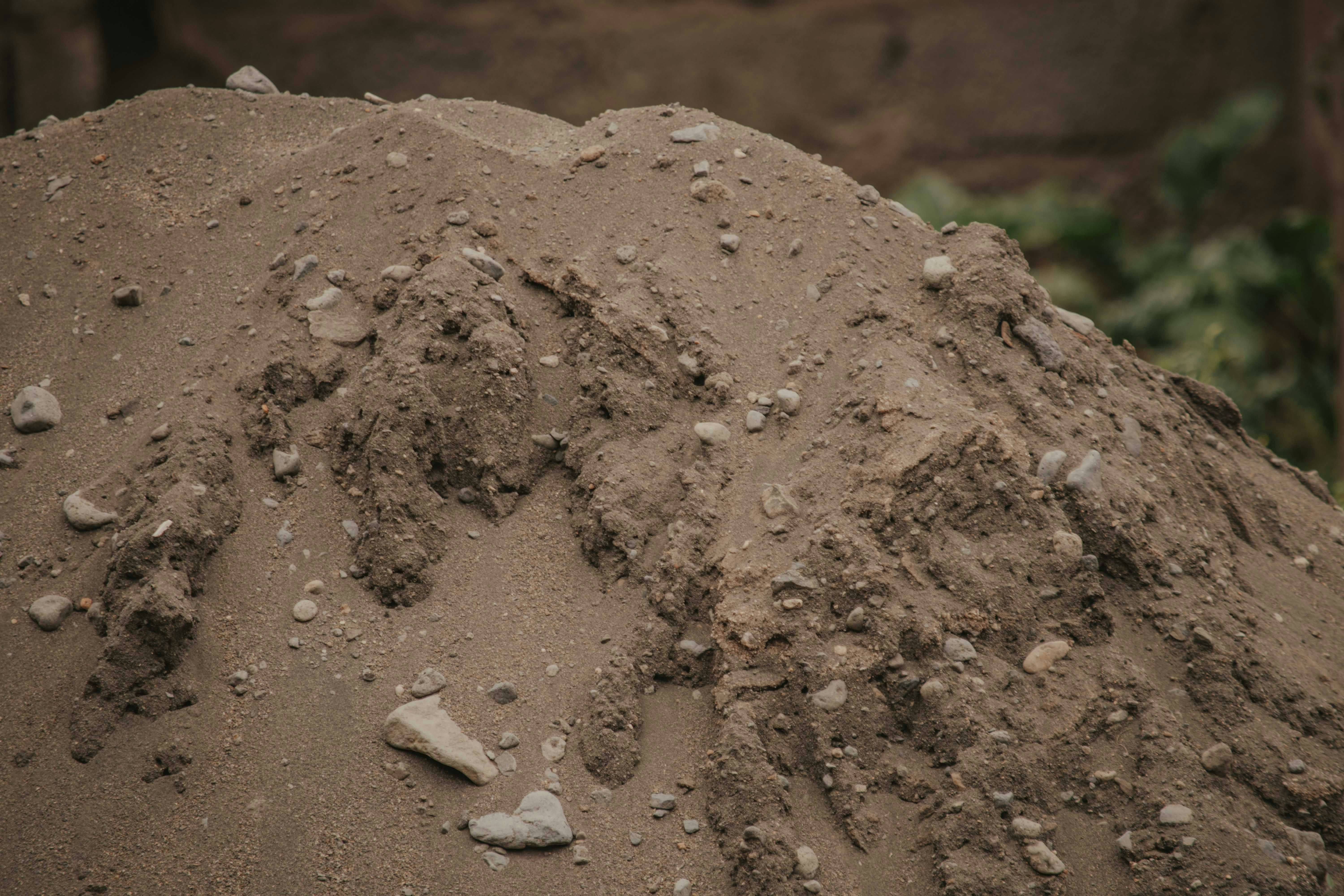 A pile of dirt with rocks and shells on it photo – Free Rock Image on ...