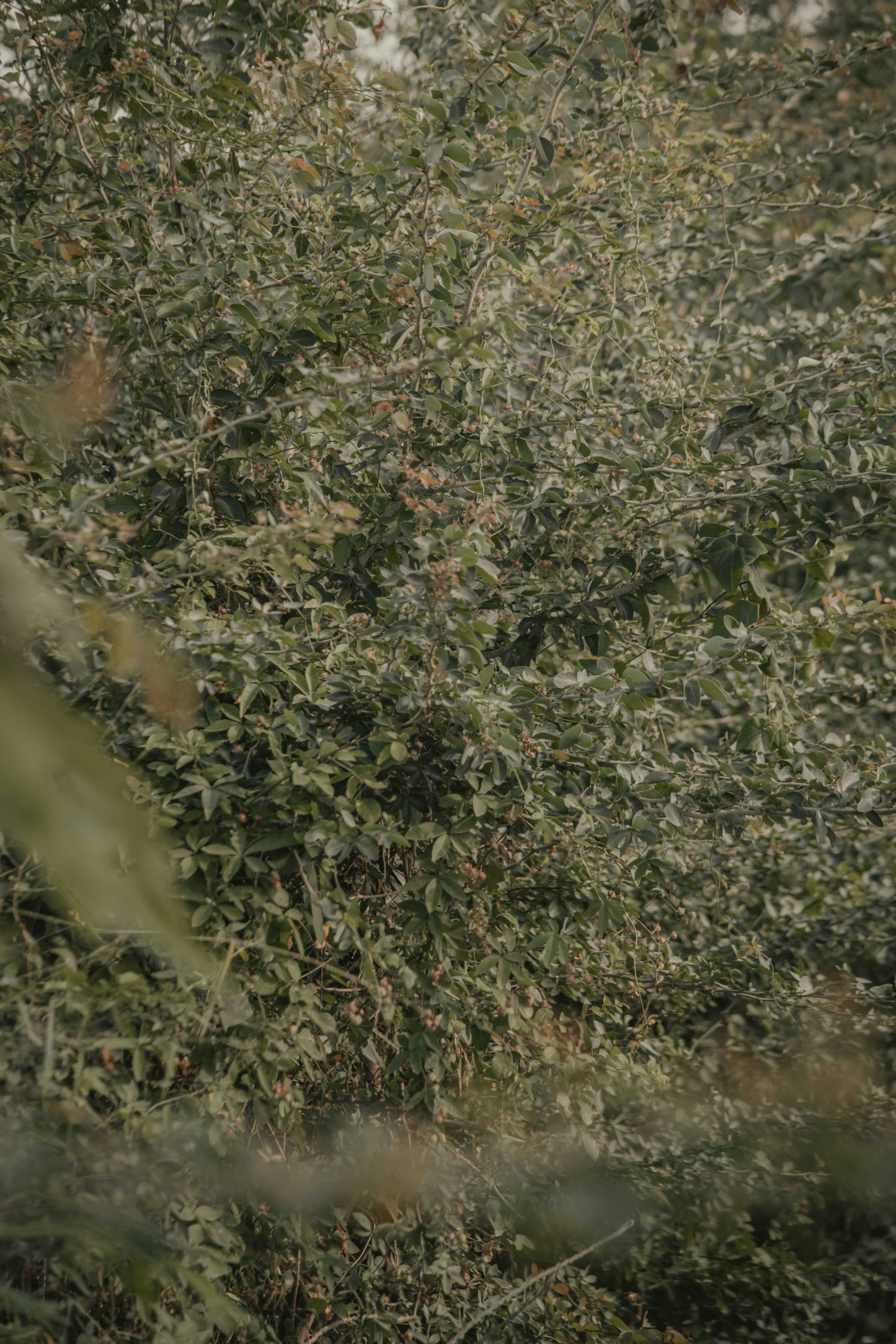 Photo by Utunzaji wa Mazingira with Nikon D3300