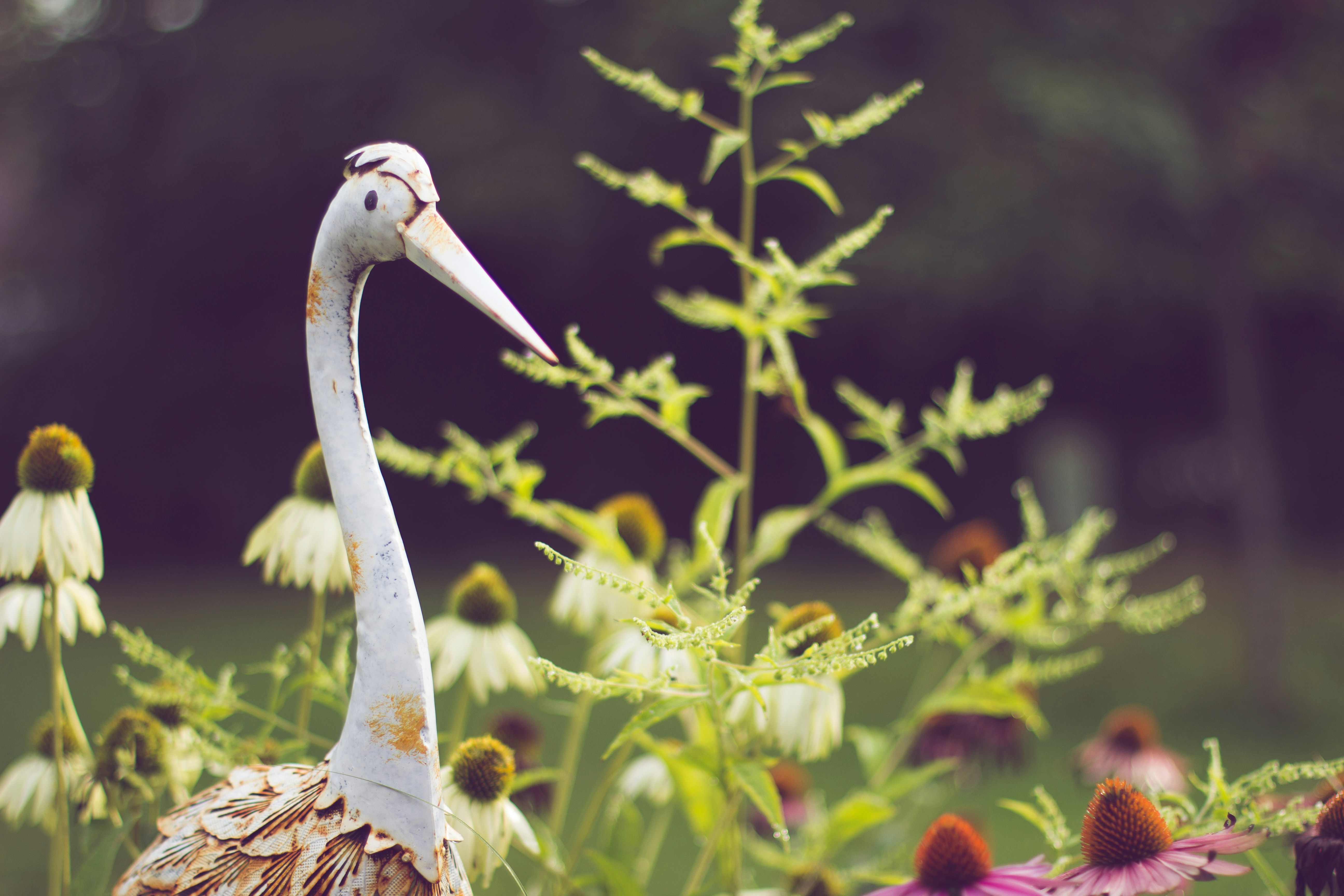 Porcelain Crane Amid a Patchwork of Coneflowers