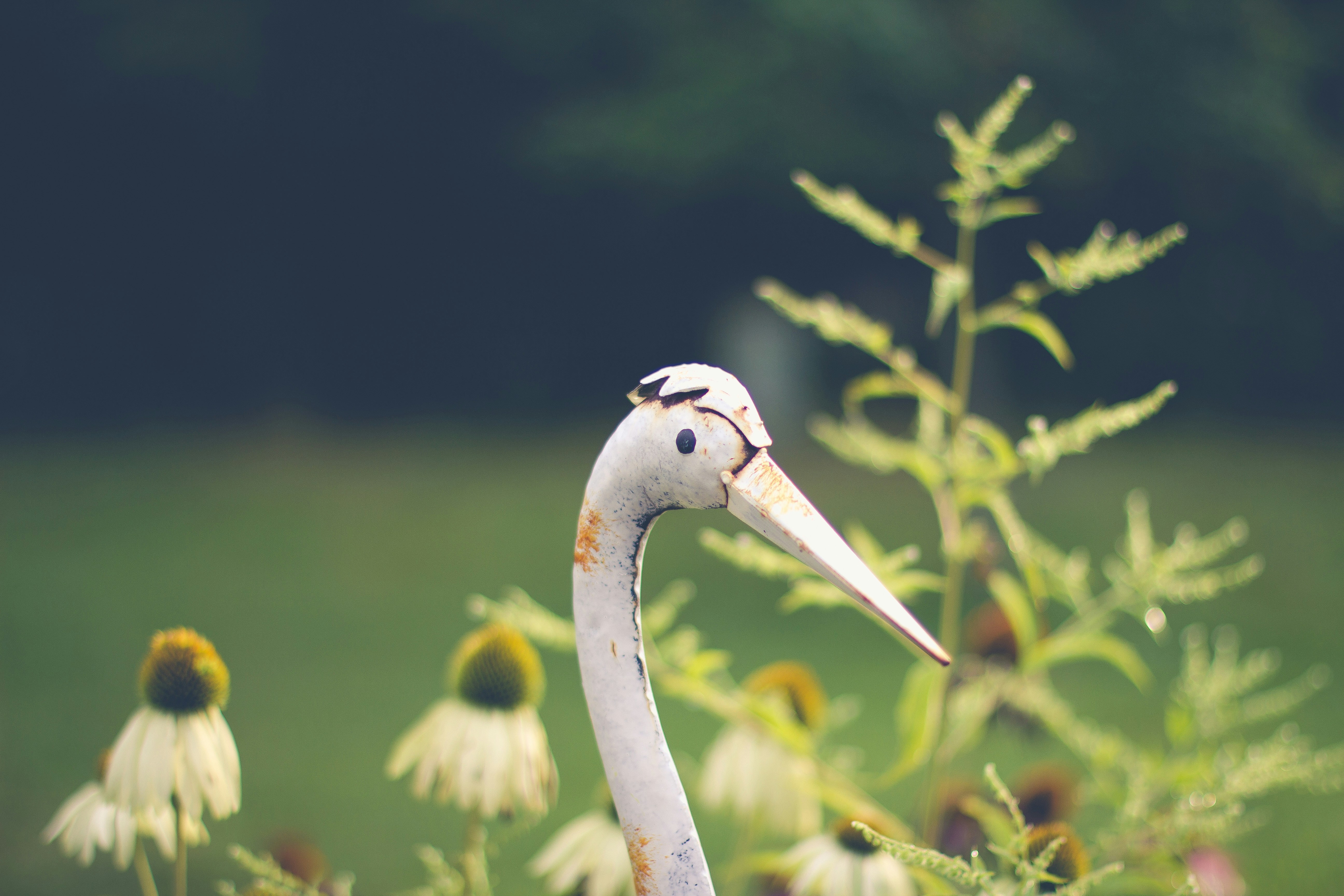 Photo by Steve Johnson with Canon EOS 550D