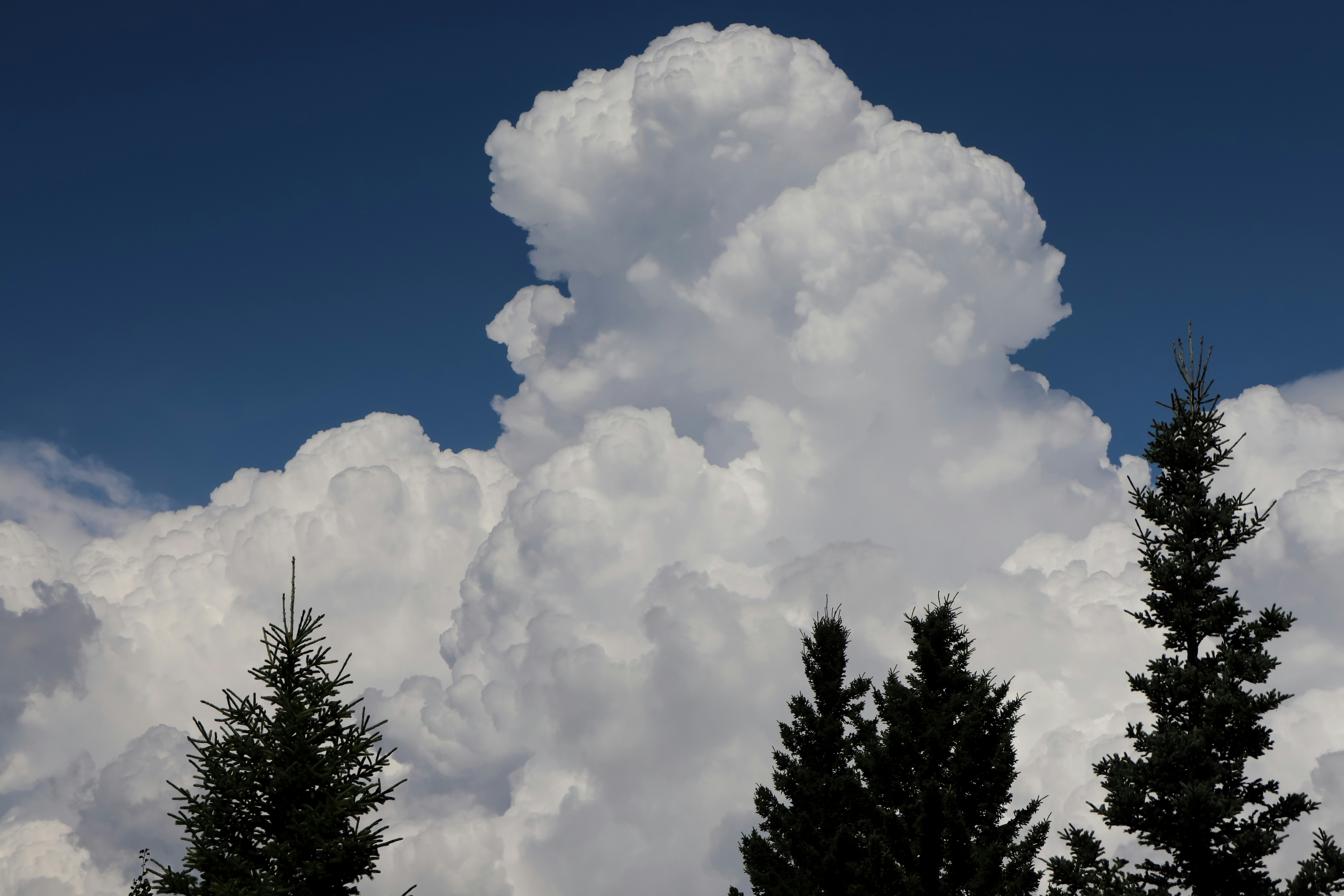 Cloud Colossus Looms Over Quiet Pine Crest