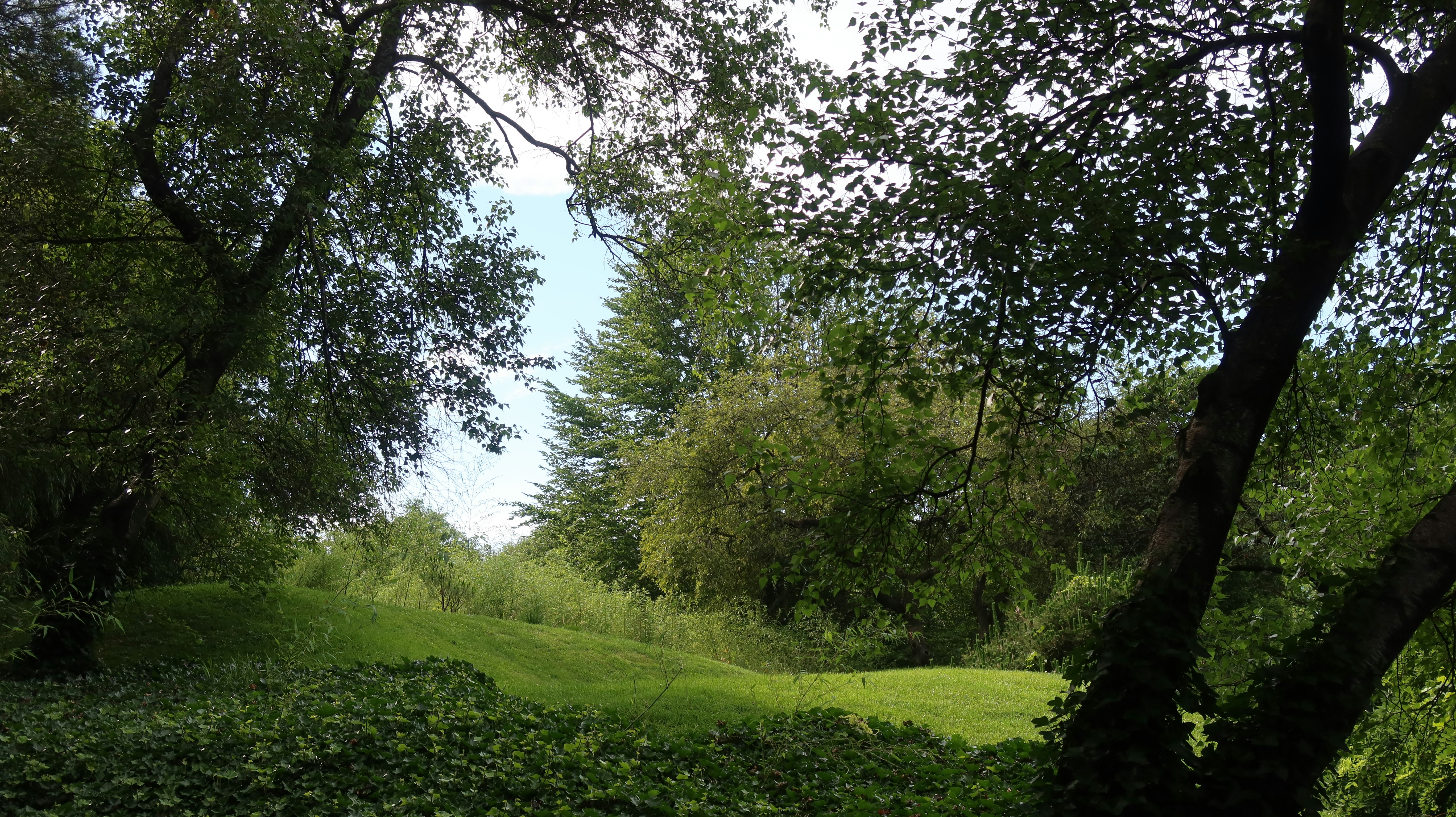 Photo by Ann with Canon PowerShot G5 X Mark II