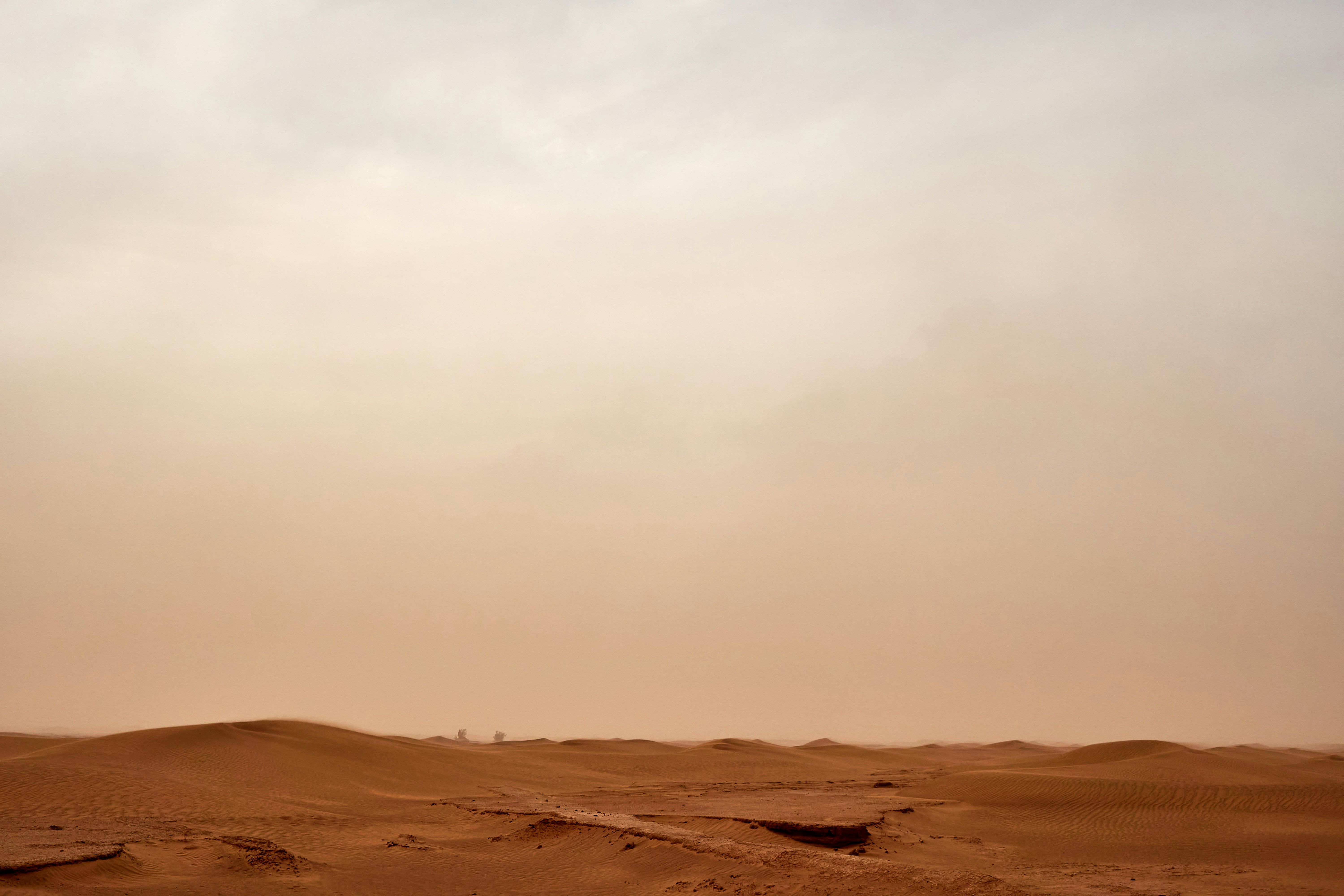 Dusk Over a Quiet Desert: A Gentle Horizon of Sand Waves