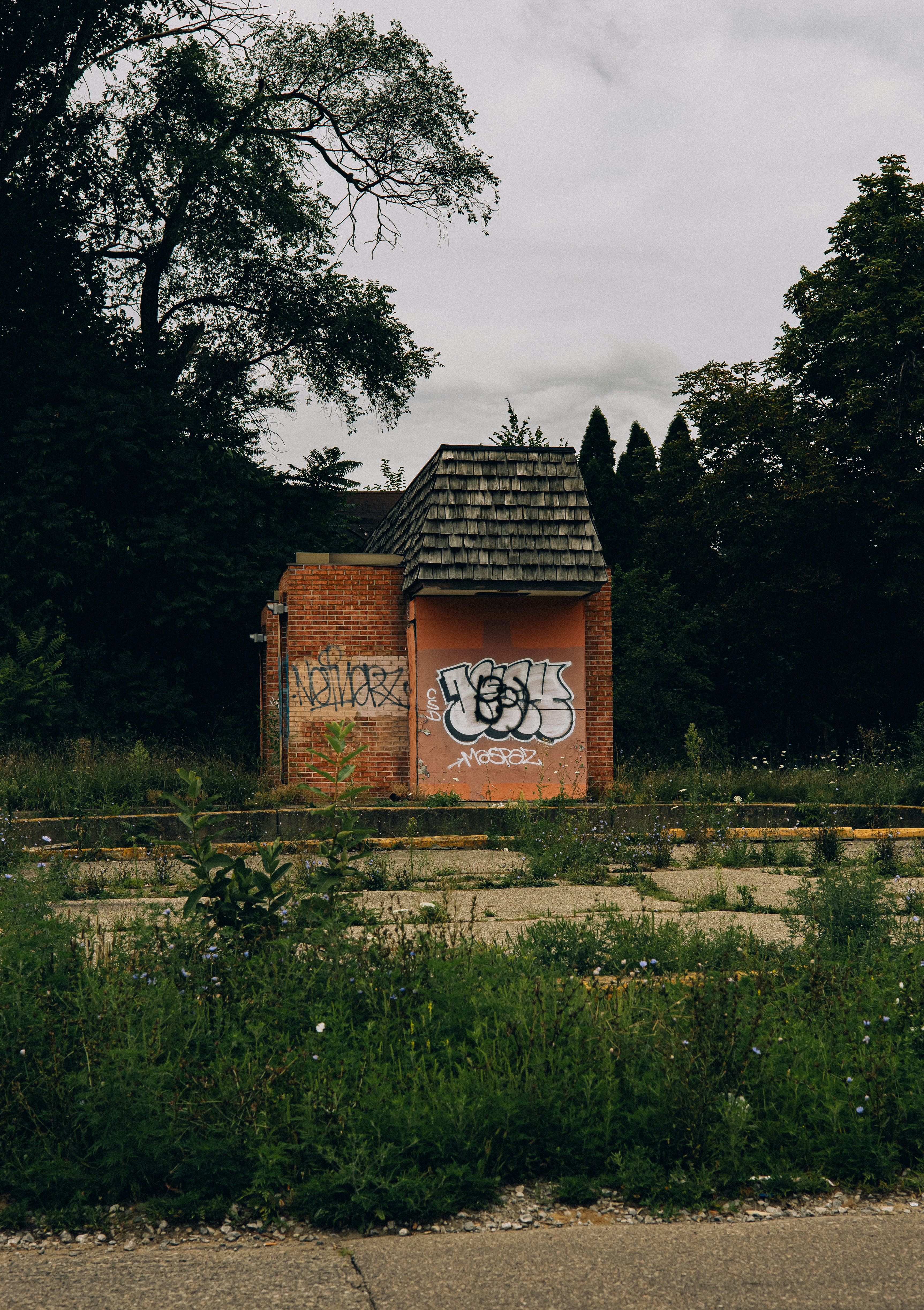 Graffiti-Tagged Outpost: An Abandoned Brick Shelter Reclaimed by Nature