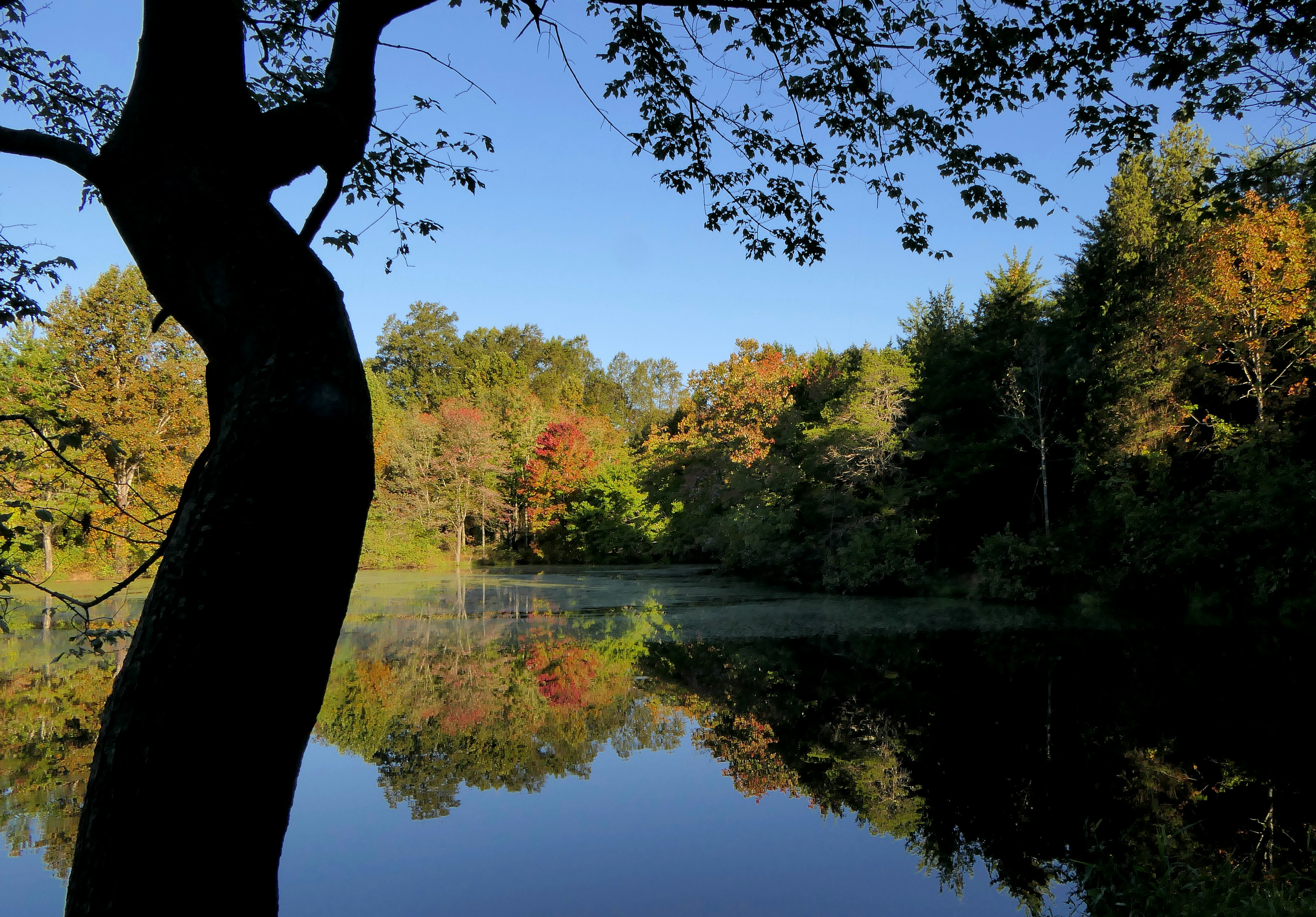 autumn lake reflection