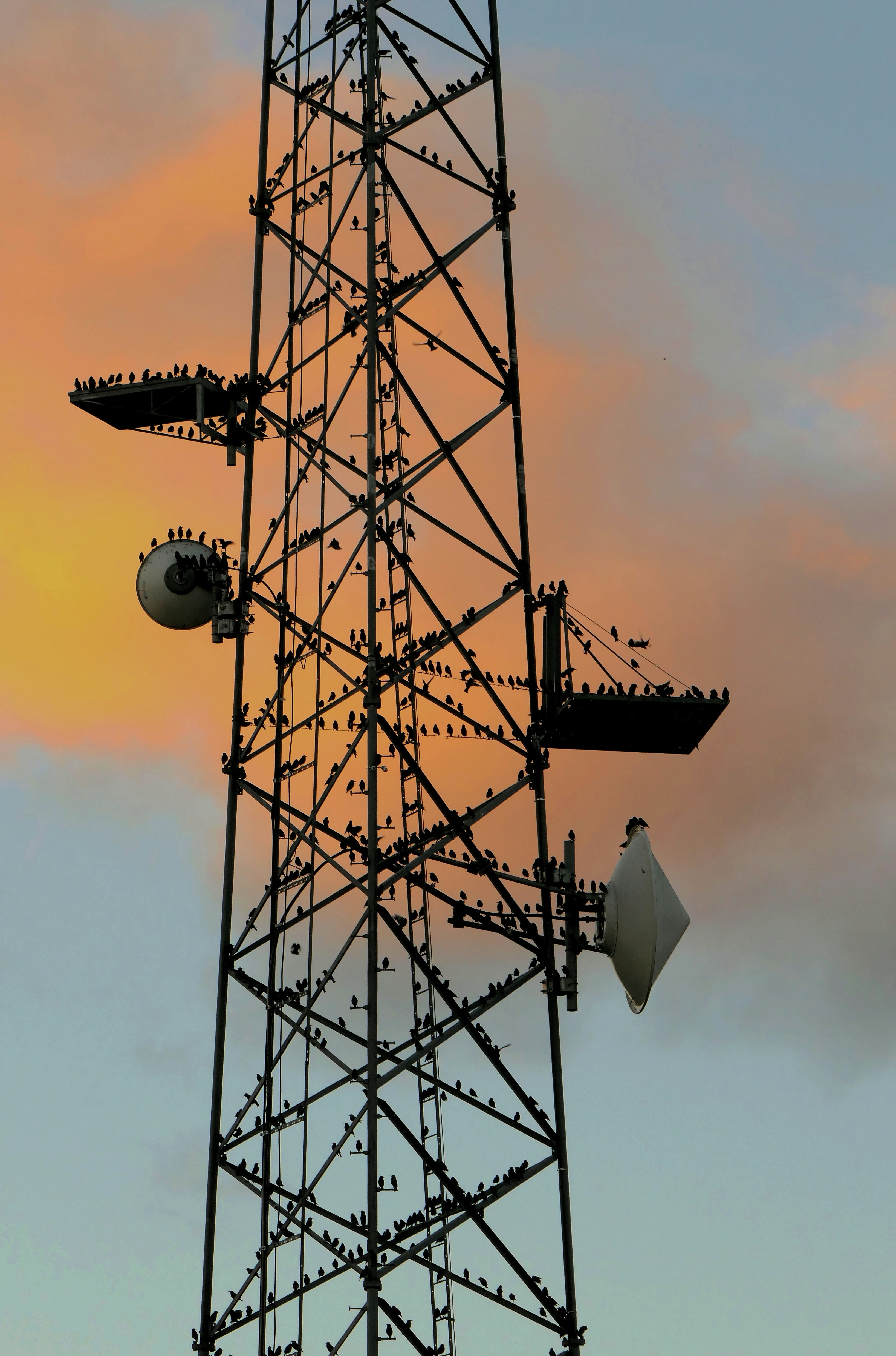 Energy Infrastructure Pictures | Download Free Images on Unsplash