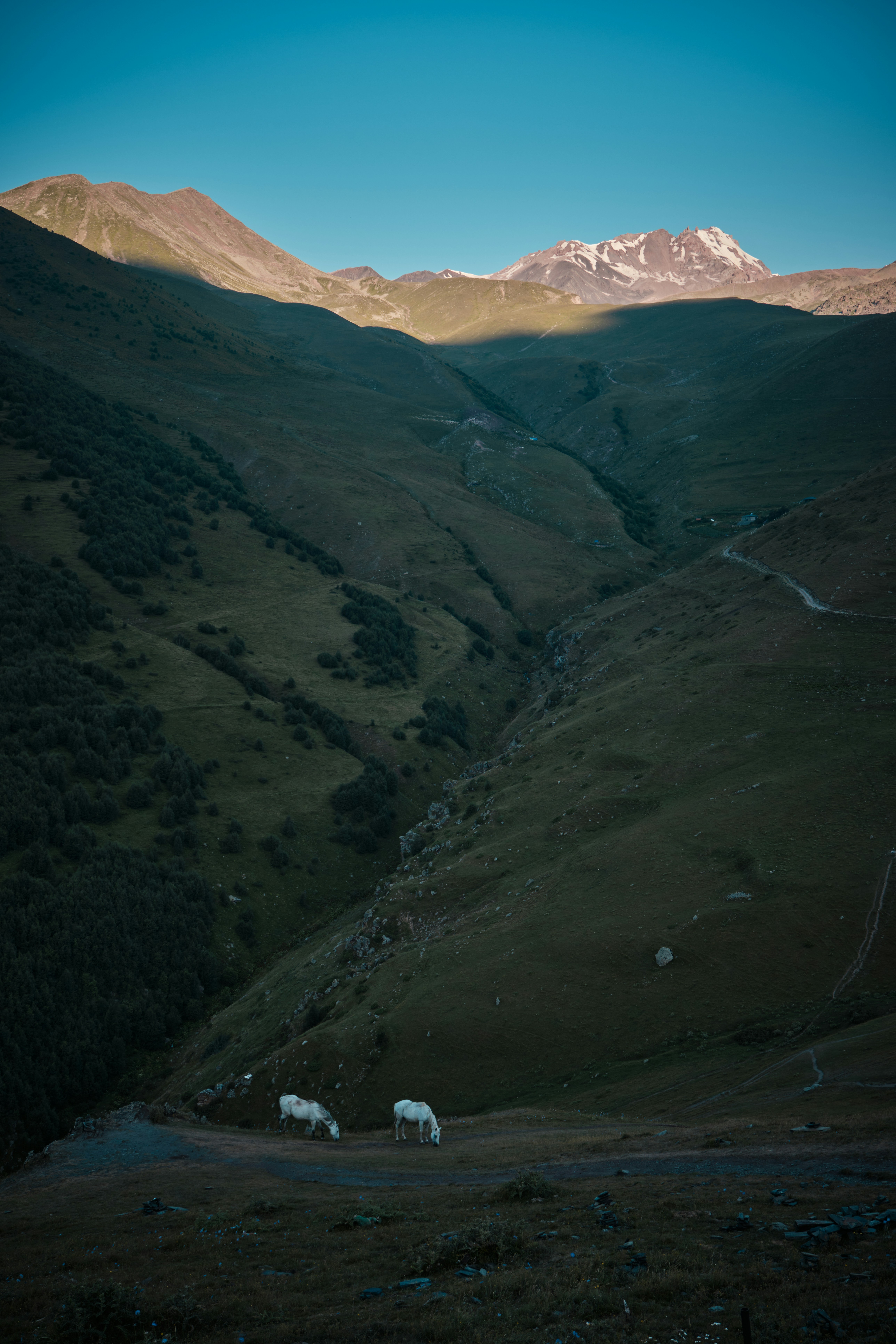 Quiet Valley Ascent Under a Glacier-Touched Ridge