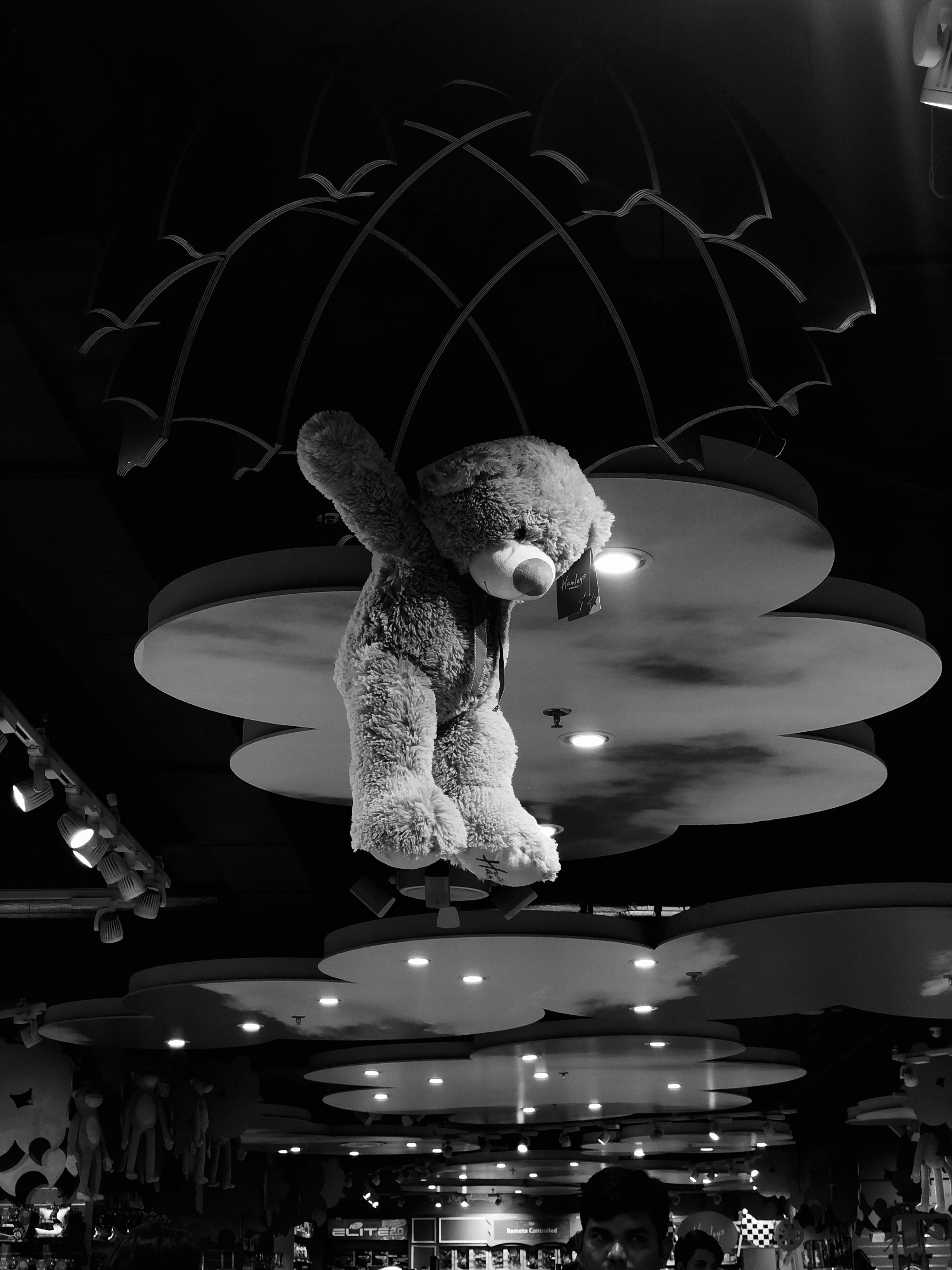 Un oso de peluche colgando del techo de un restaurante foto – Imagen de ...