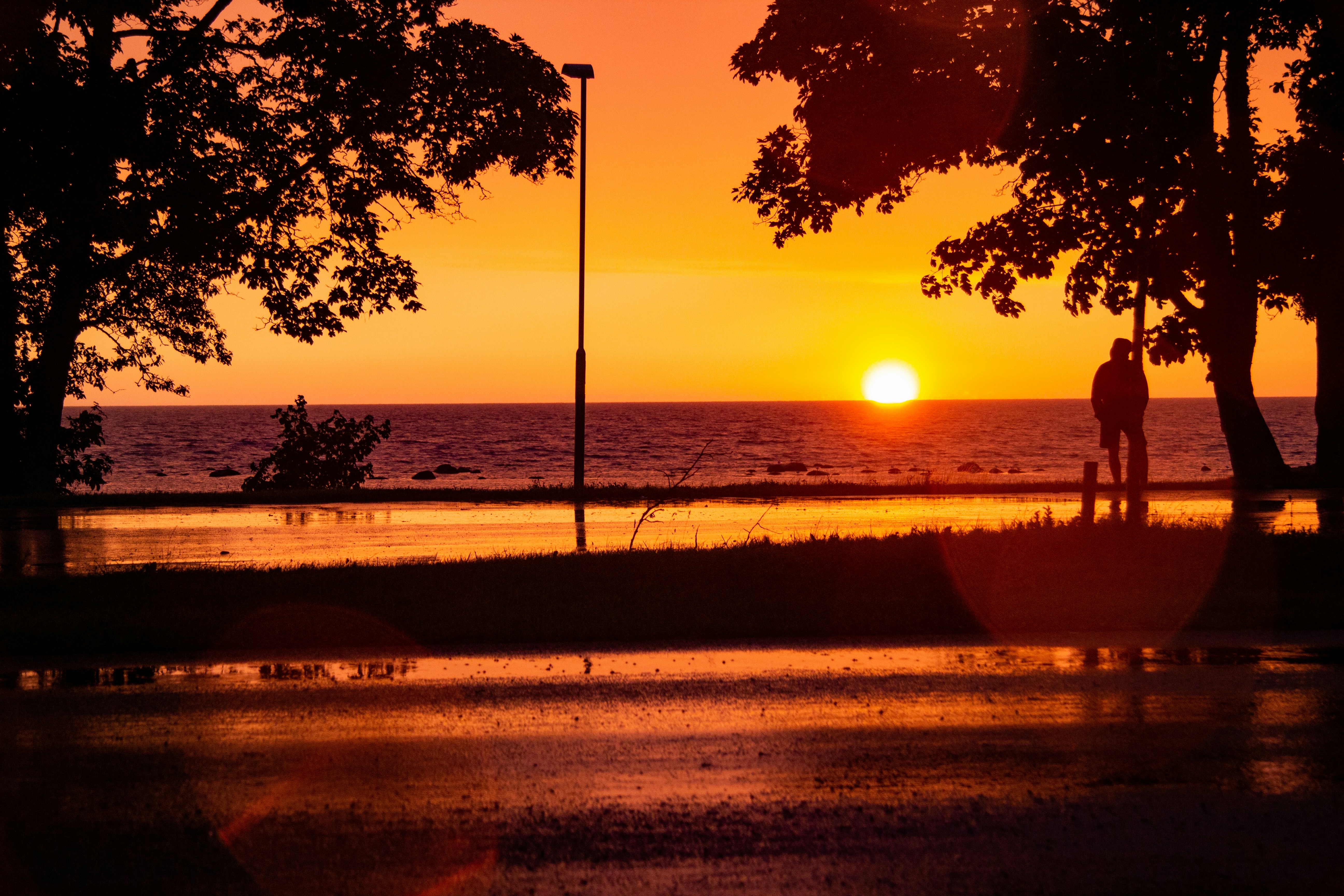 Sunset over a calm sea framed by silhouetted trees and a couple standing on the shore.