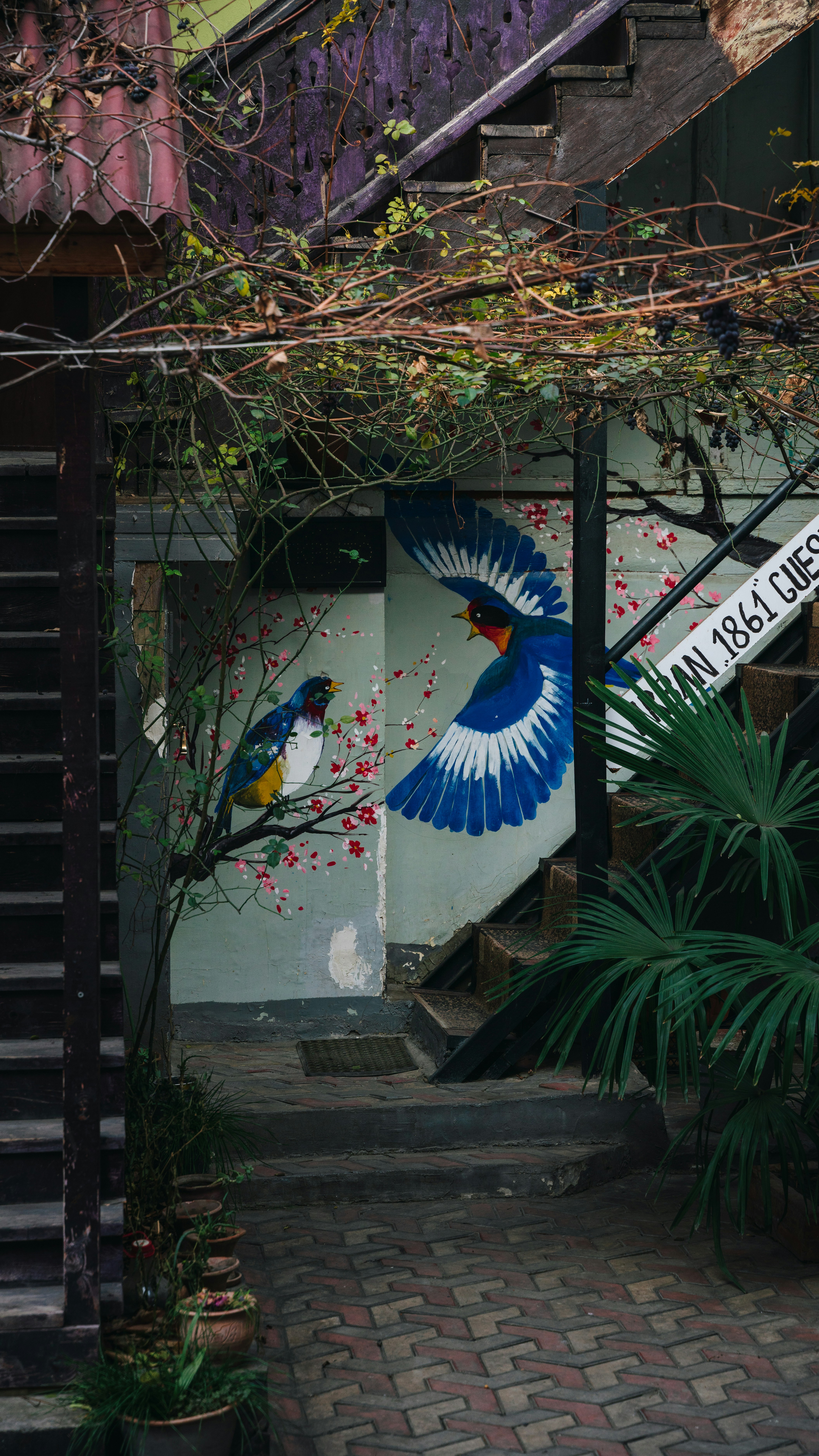 Blue Kingfisher Murals Under a Vine-Wrapped Staircase