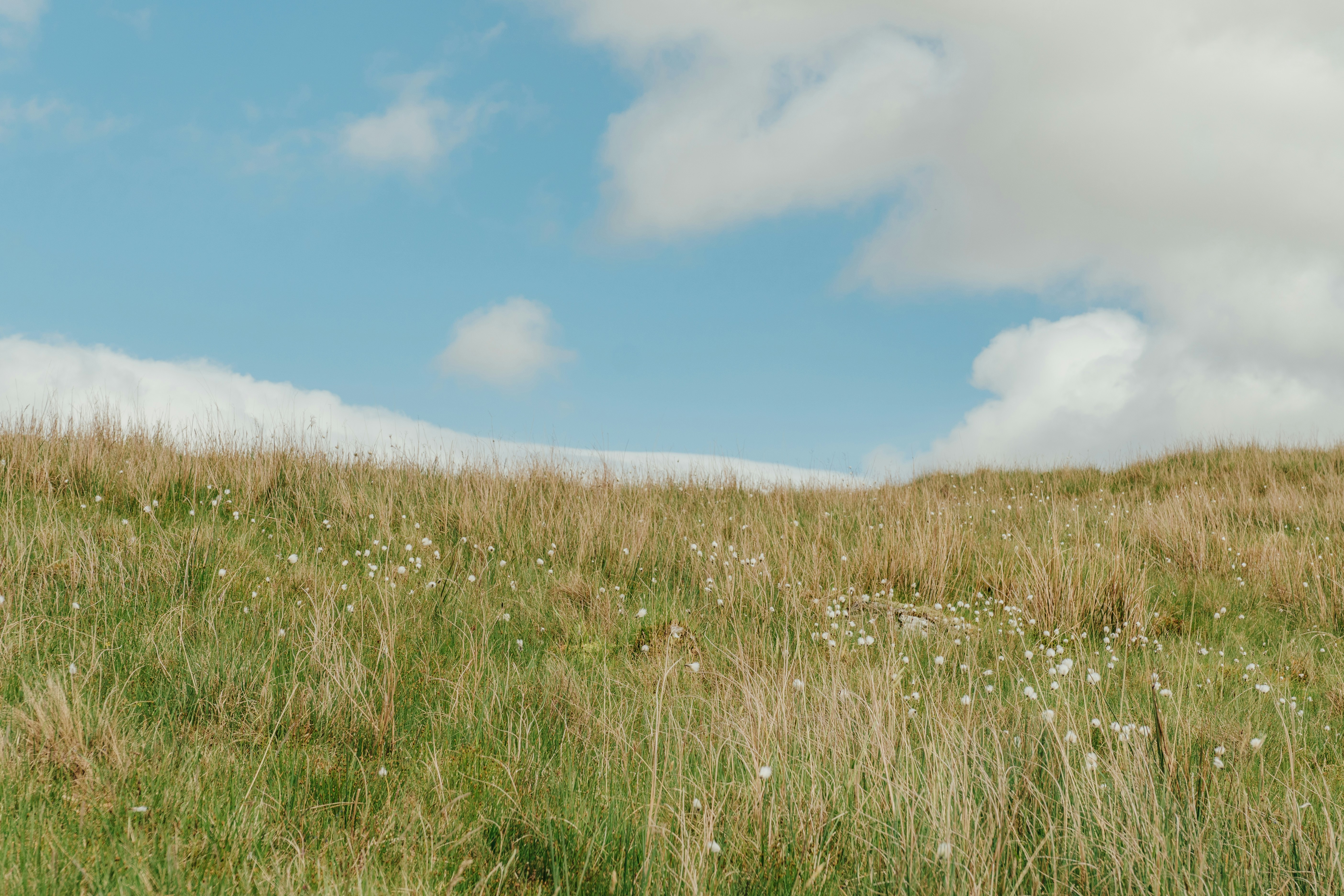 Clear Weather Pictures | Download Free Images on Unsplash