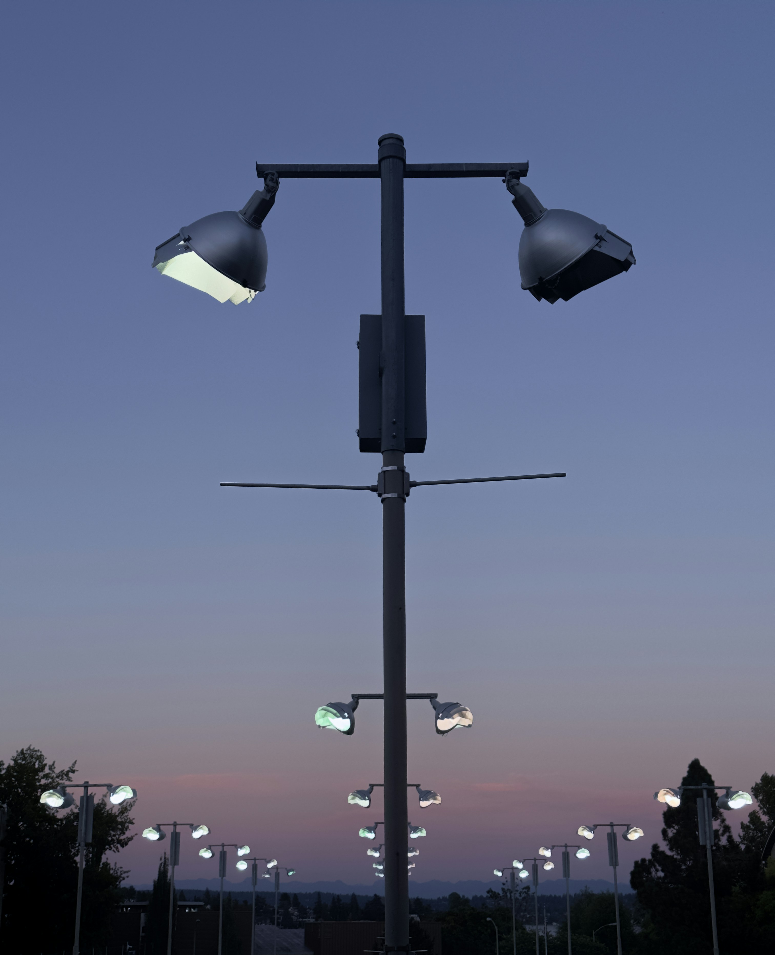 Dusk's Dual-Headed Beacon Amid a Row of Softly Lit Luminaires