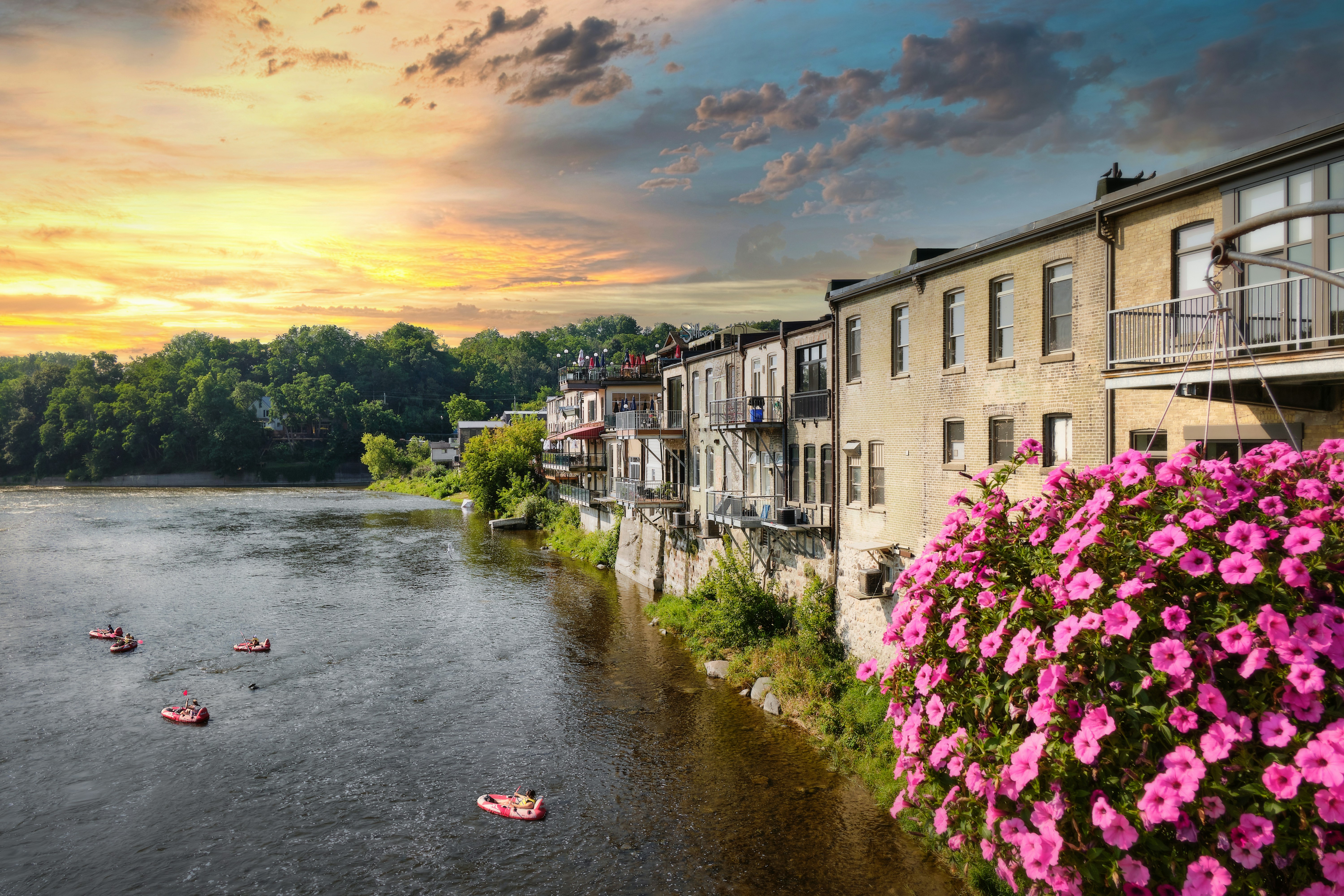 Dusk Over the Riverside Village: Pink Blooms by the Water's Edge