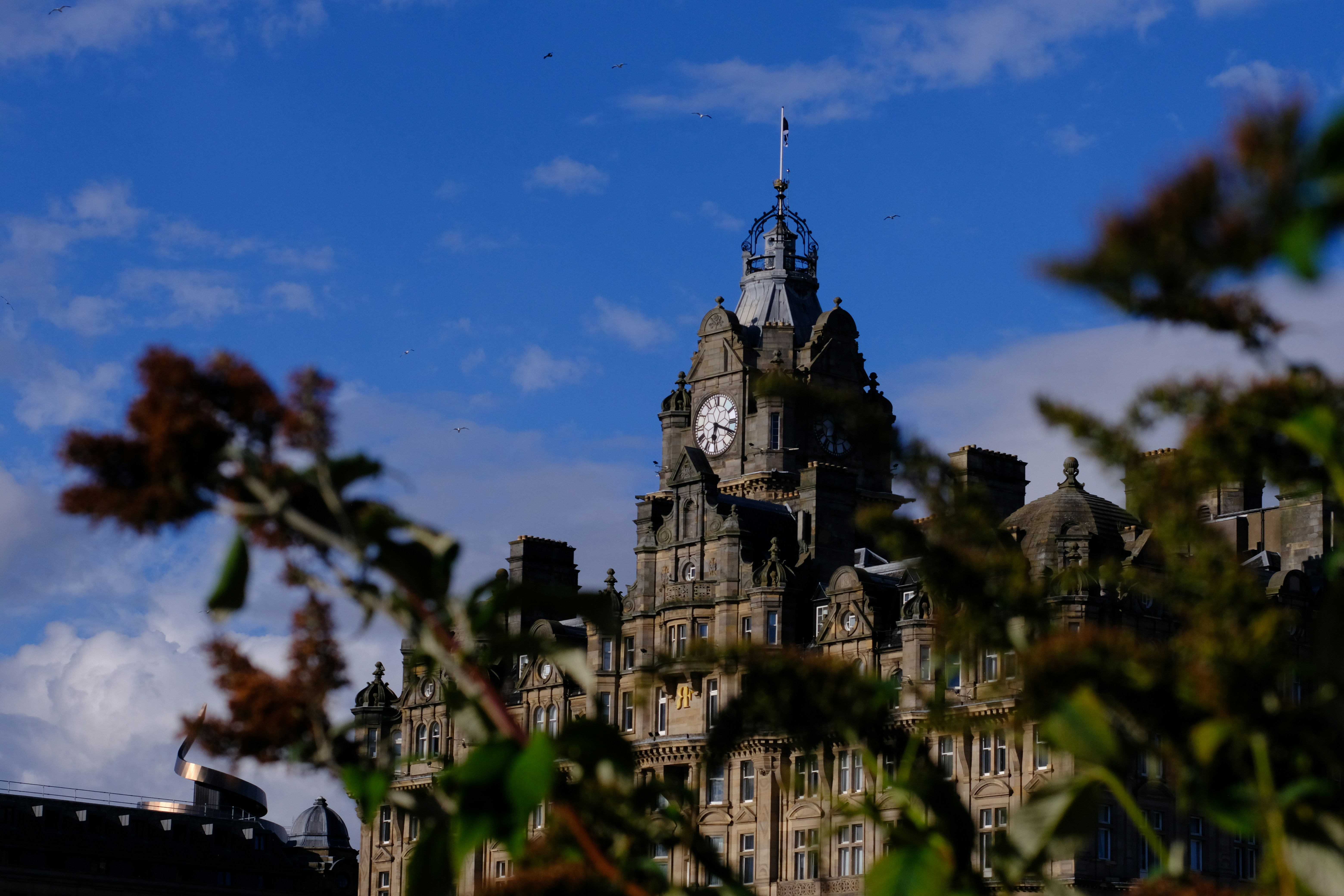 Clocktower Arcadia: Gothic City Hall Framed by Foreground Foliage