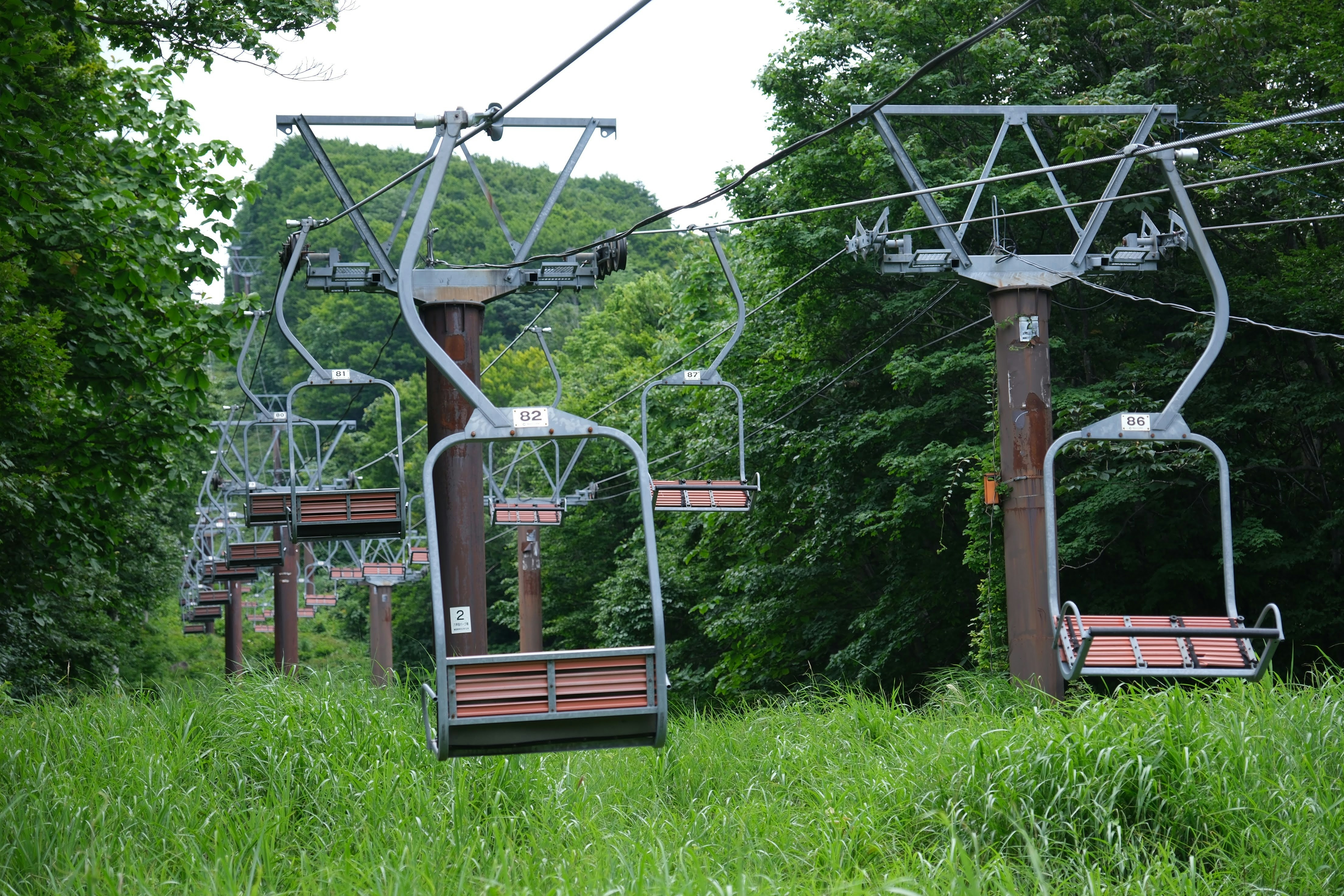 Abandoned chairlifts line a verdant hillside, surrounded by lush greenery, evoking a sense of tranquility and nostalgia.