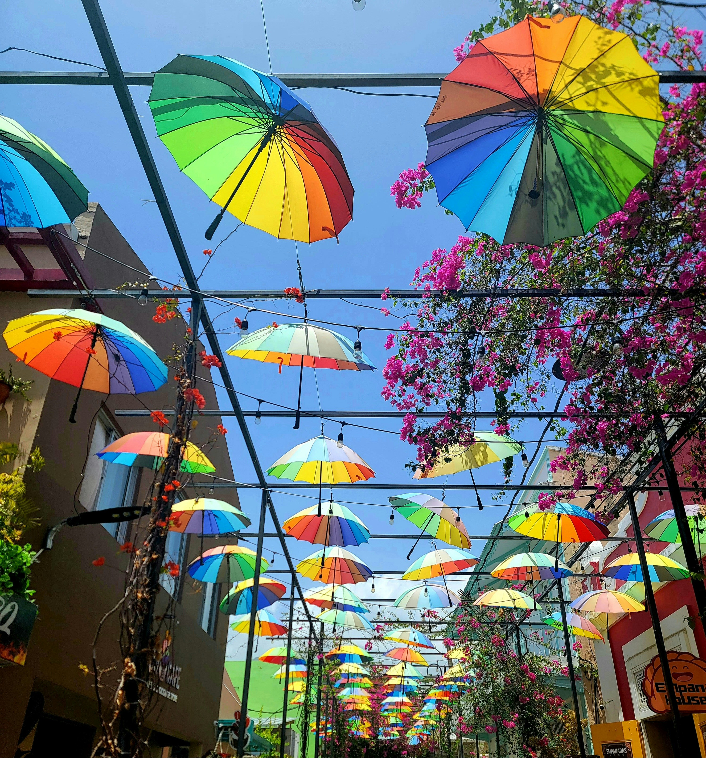 A bunch of umbrellas that are in the air photo – Free Umbrella Image on ...