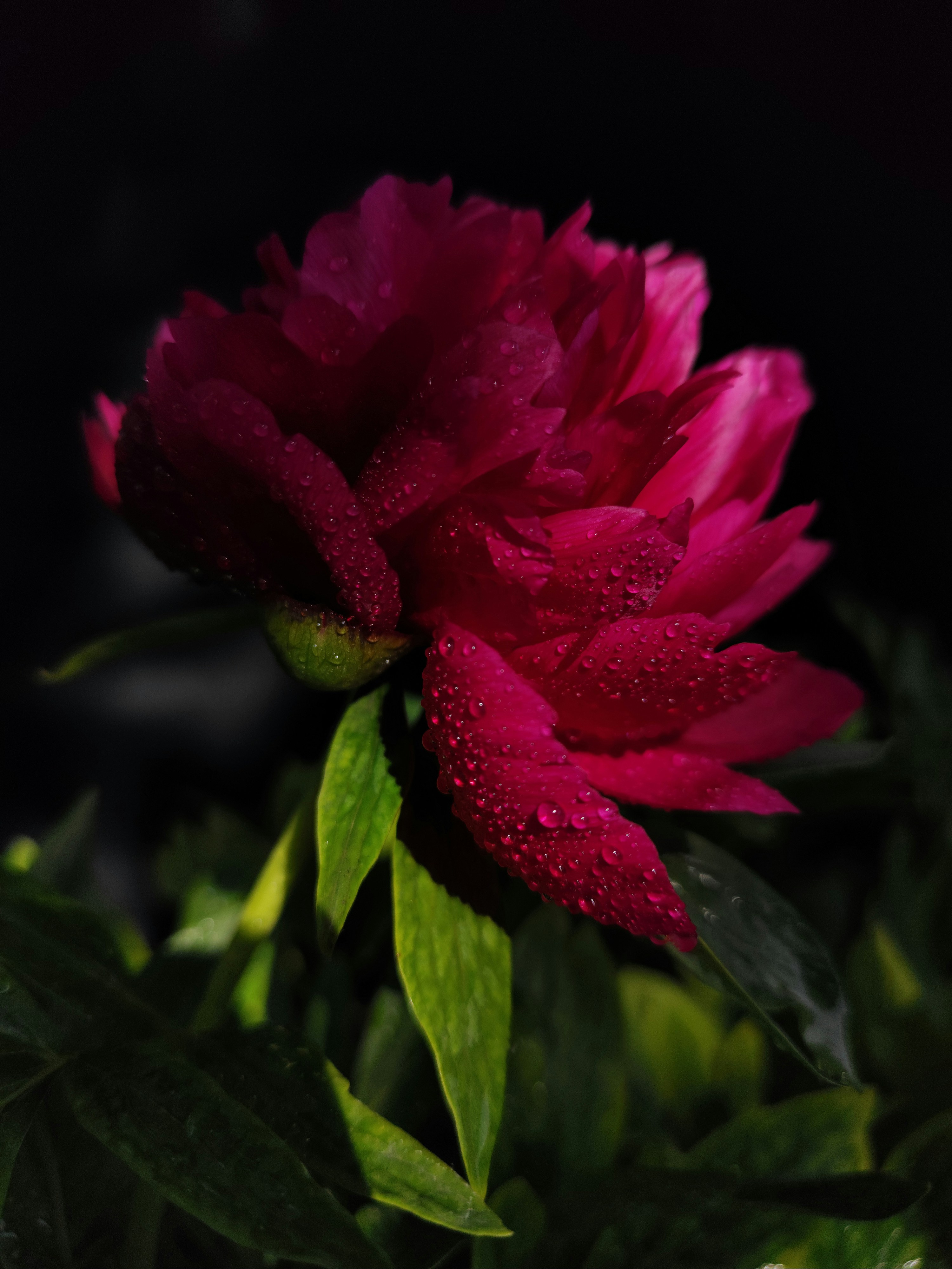 Photo by Anna Evans with Xiaomi Poco X5 Pro