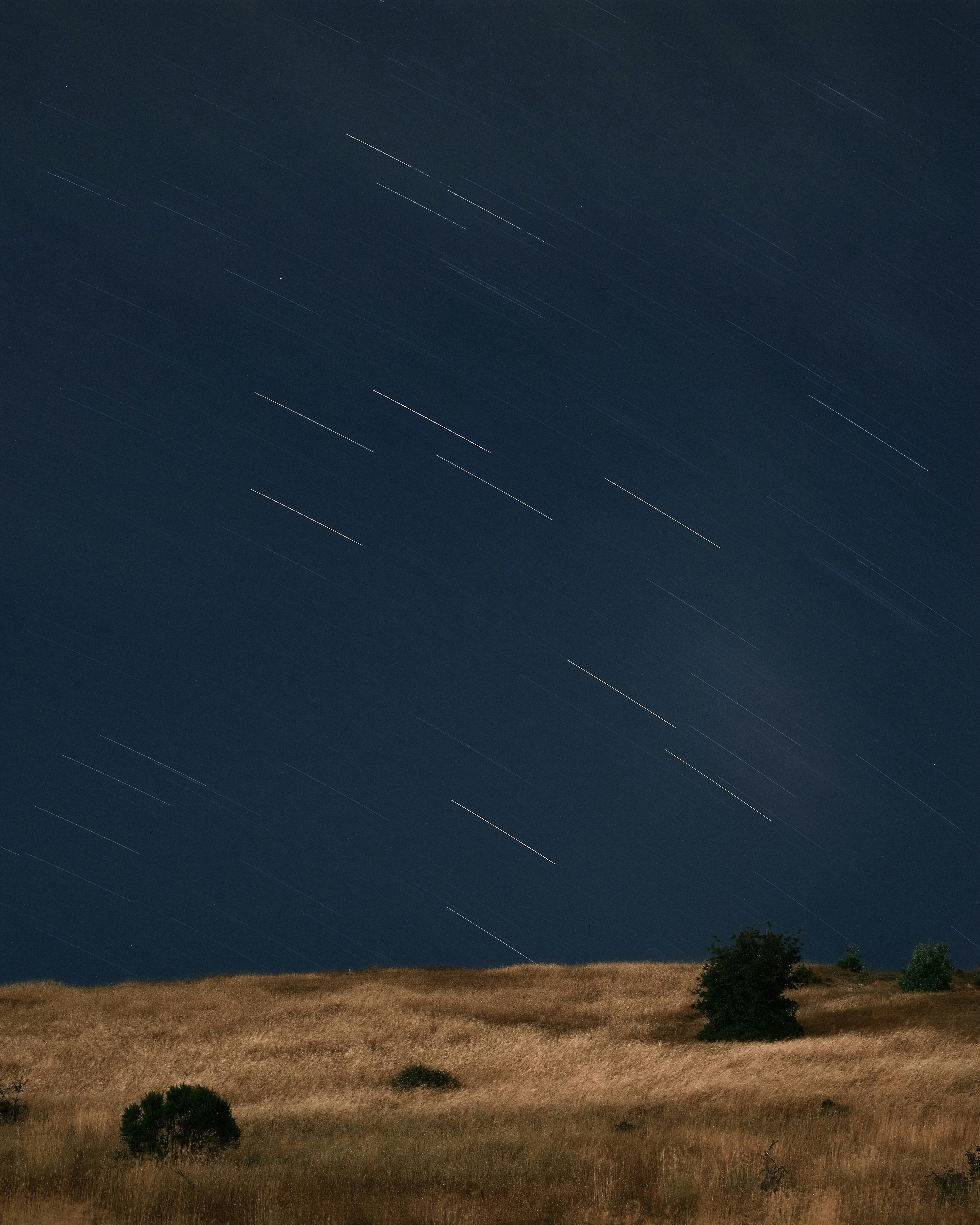 Long-exposure night photograph capturing star trails arcing across a dark sky. The scene shows a windswept grassy hill with a few trees along the horizon.
